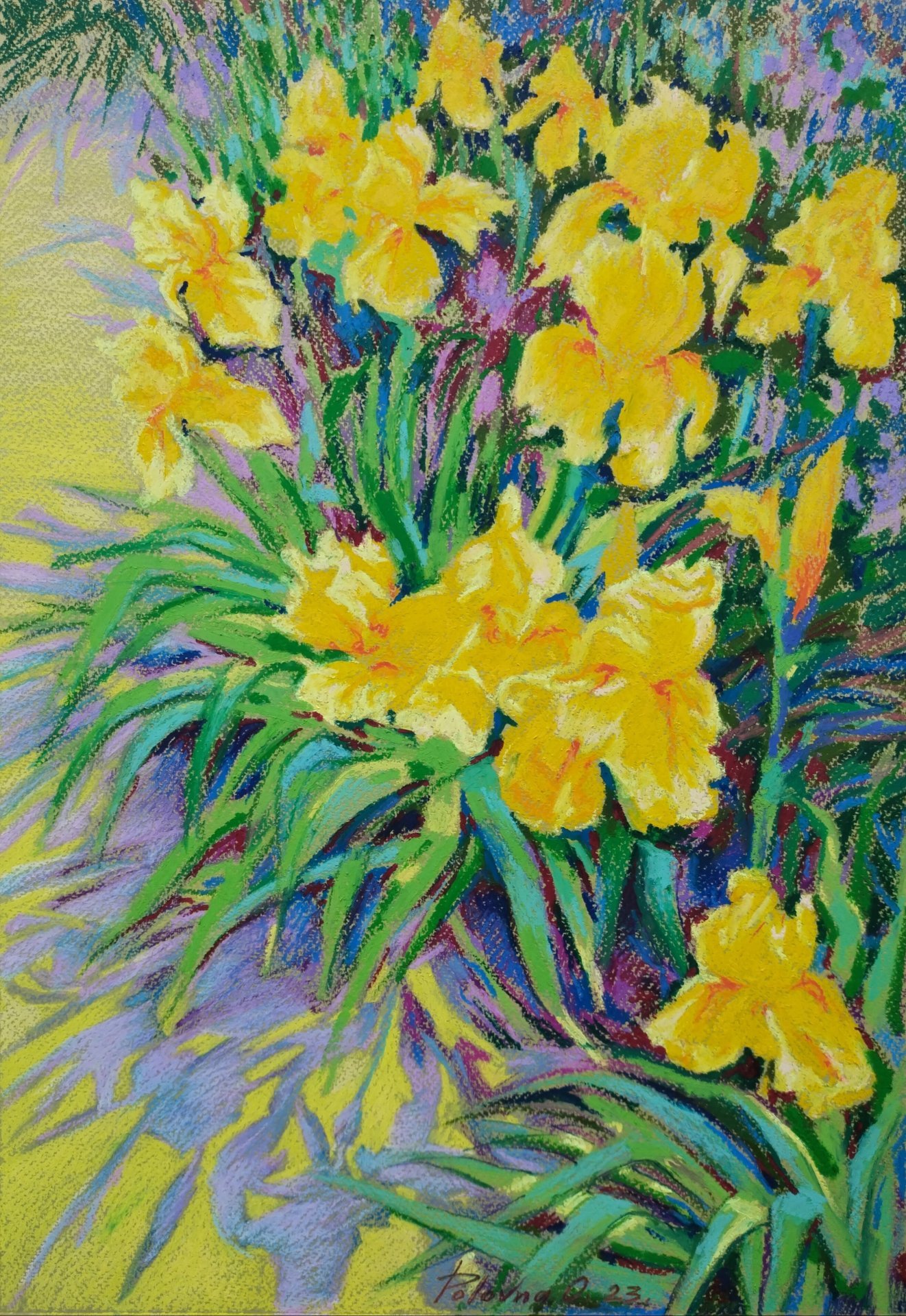 Yellow irises Drawing - Olena Polovna - Jose Art Gallery