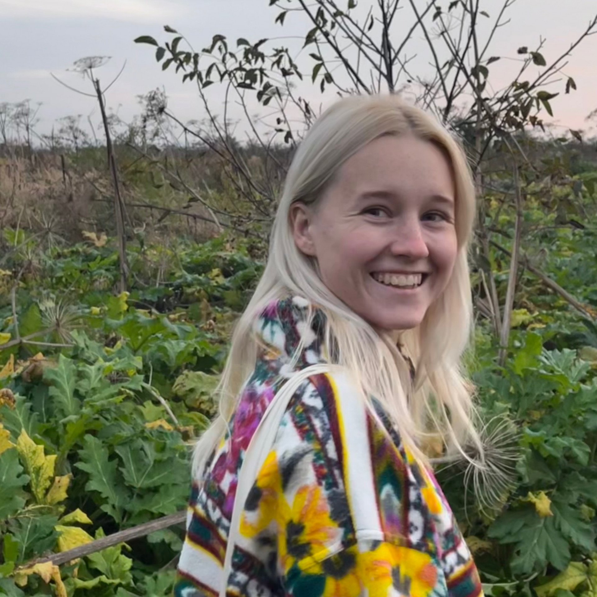 Sofiya Murashko: Artist - Jose Art Gallery