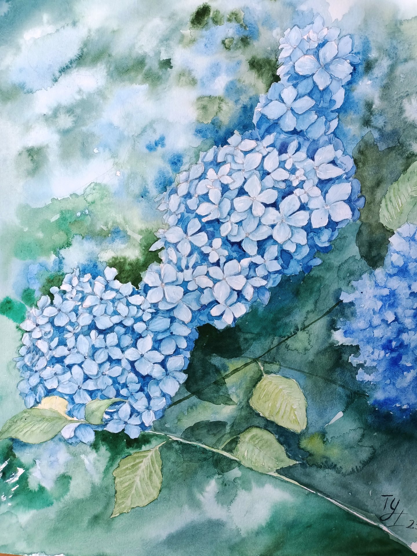 Hydrangea Painting by Yuliia Tumanova - Jose Art Gallery