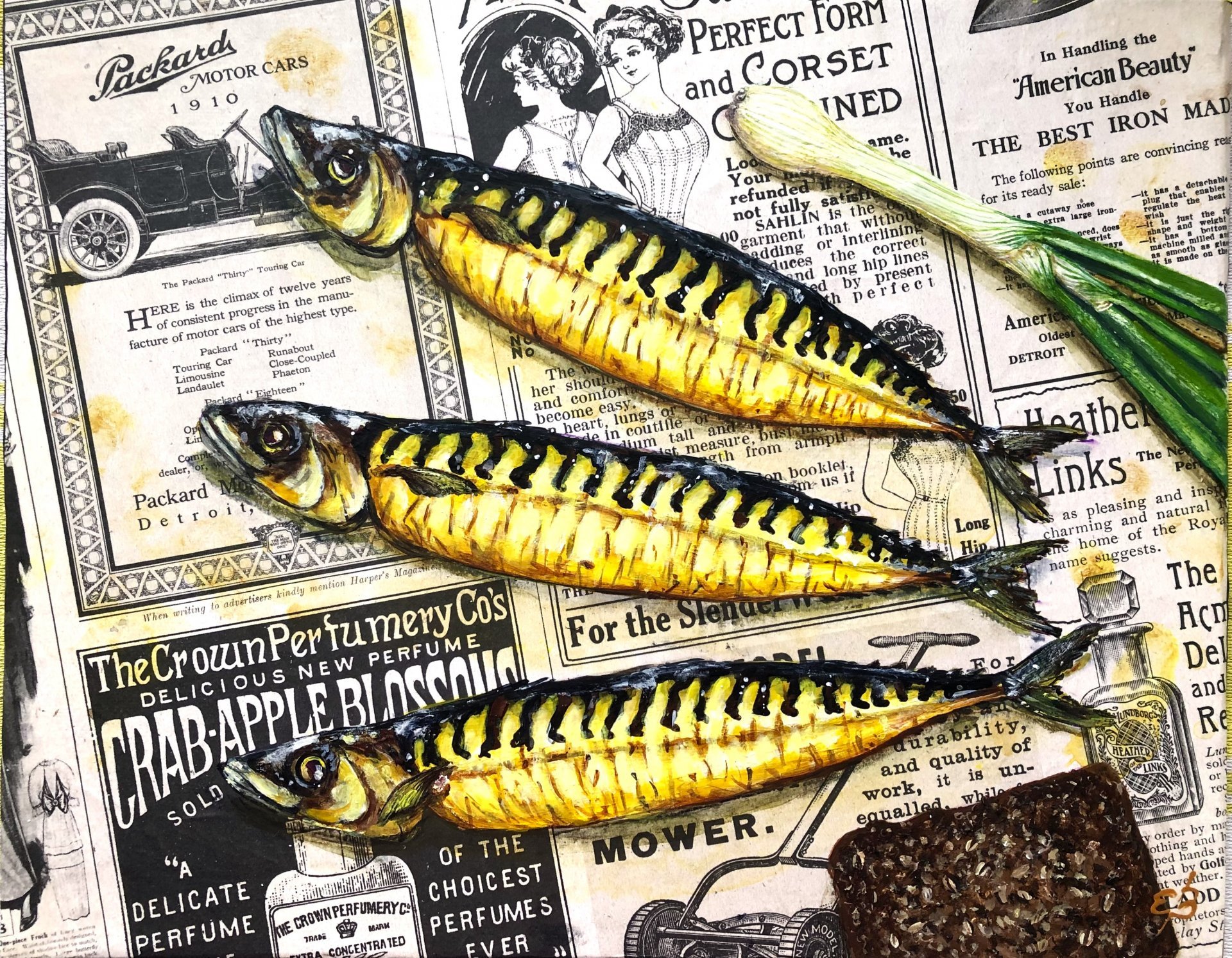 Holy mackerel! Drawing - Lena Smirnova - Jose Art Gallery