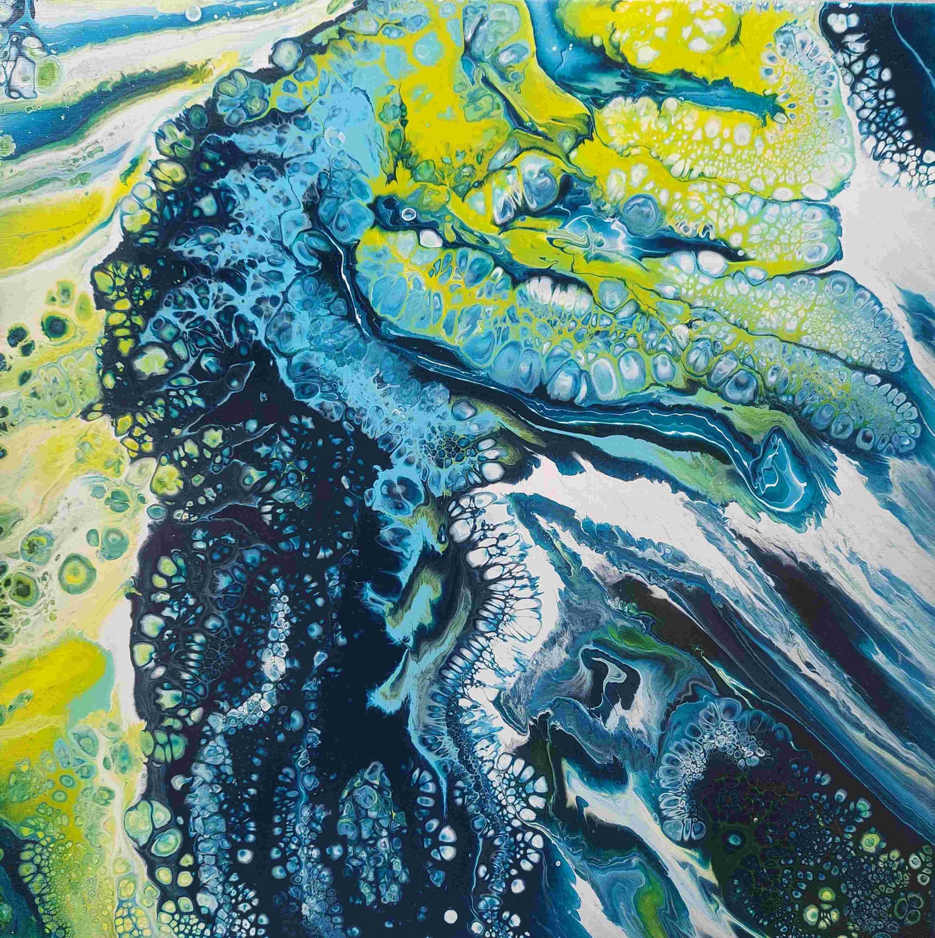 Freshness Painting by Paulo Baptista - Jose Art Gallery