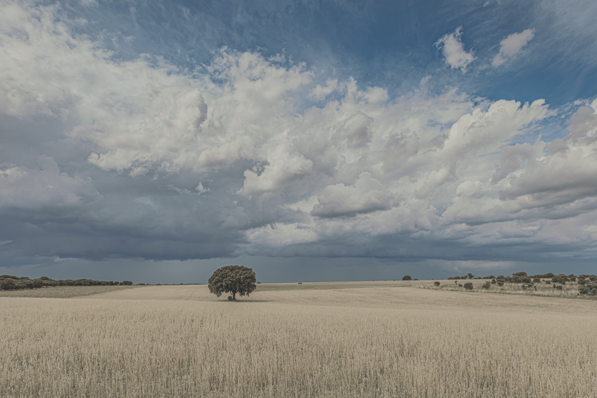 Before the rain Photography - Lidiya Dmitrieva