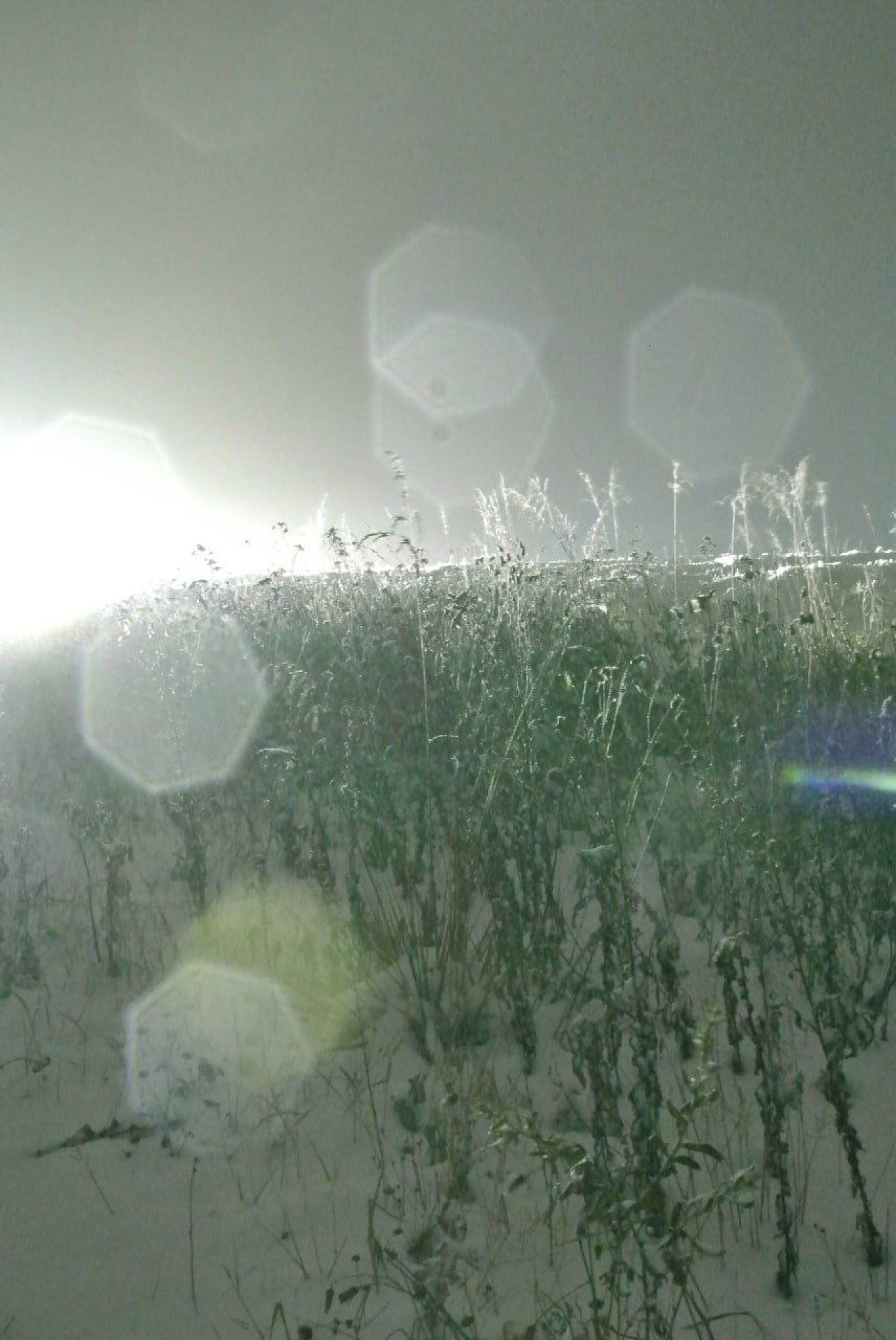 Secrets of the Cold Depths Photography - Sour Harry