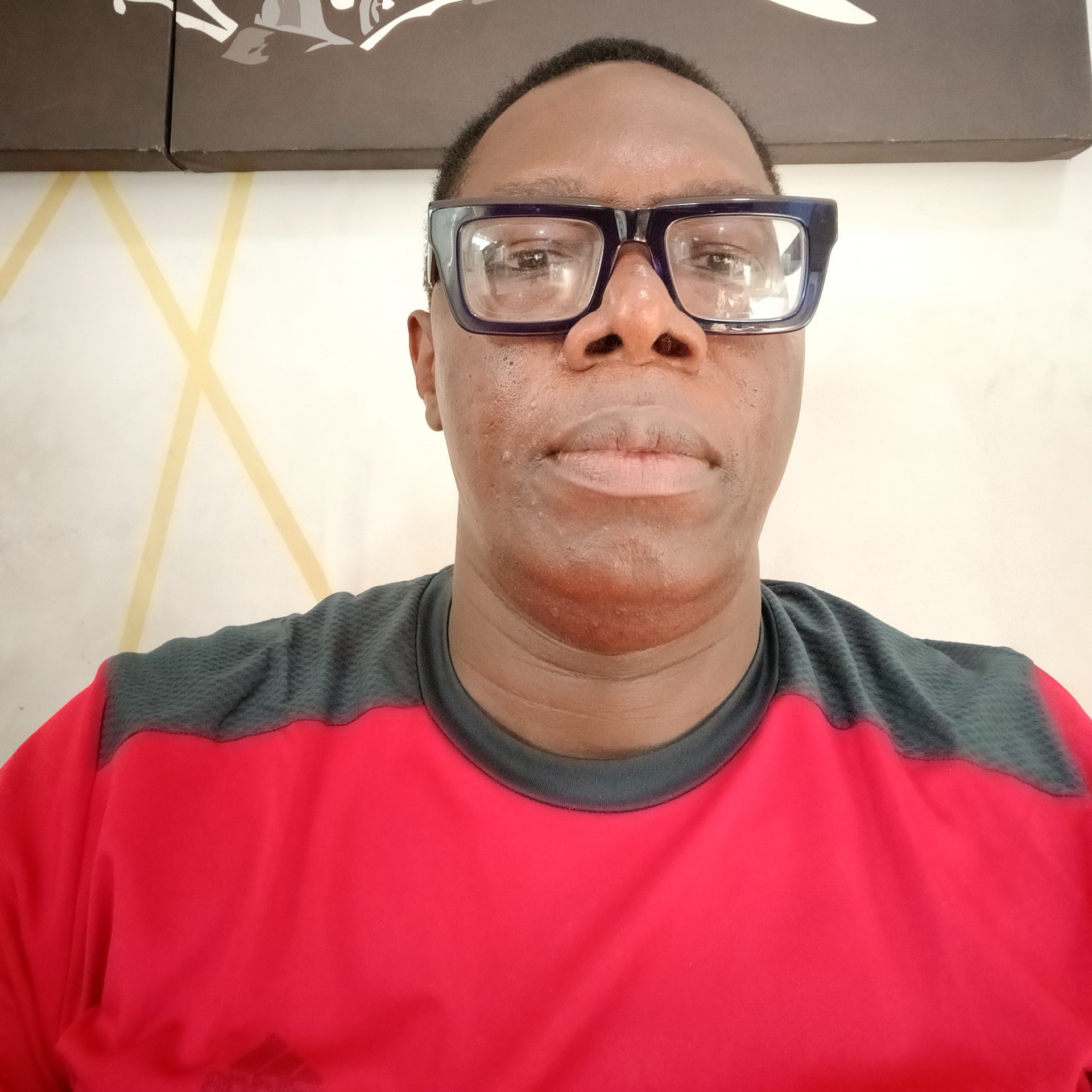 Zino12: Artist - Jose Art Gallery