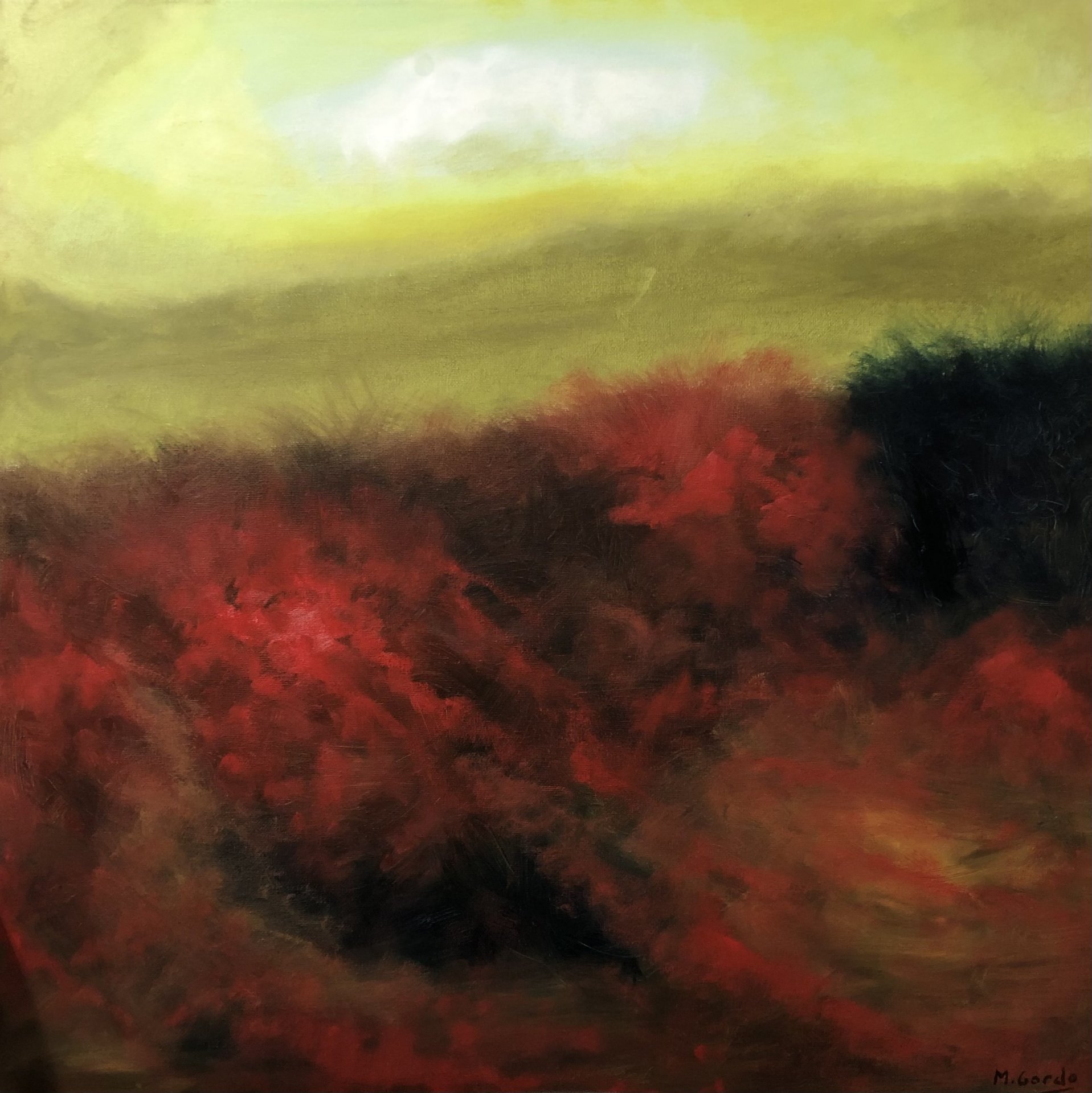 Sea of Fire: Volcano and Sky in Harmony Painting by Mercedes Gordo