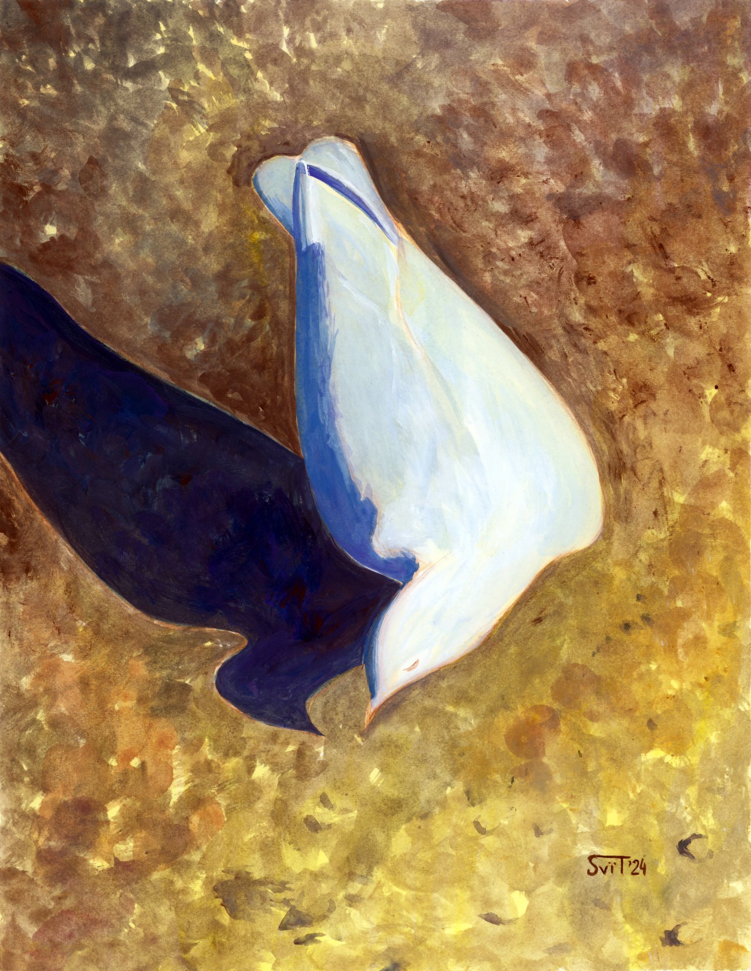 Light & Shade: Dove and Shadow Painting by Svitlana Tetokina