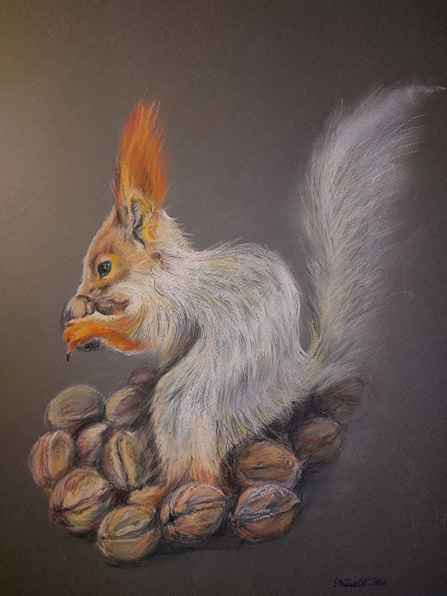My pastelsSquirrel Drawing - Natali Diduh - Jose Art Gallery