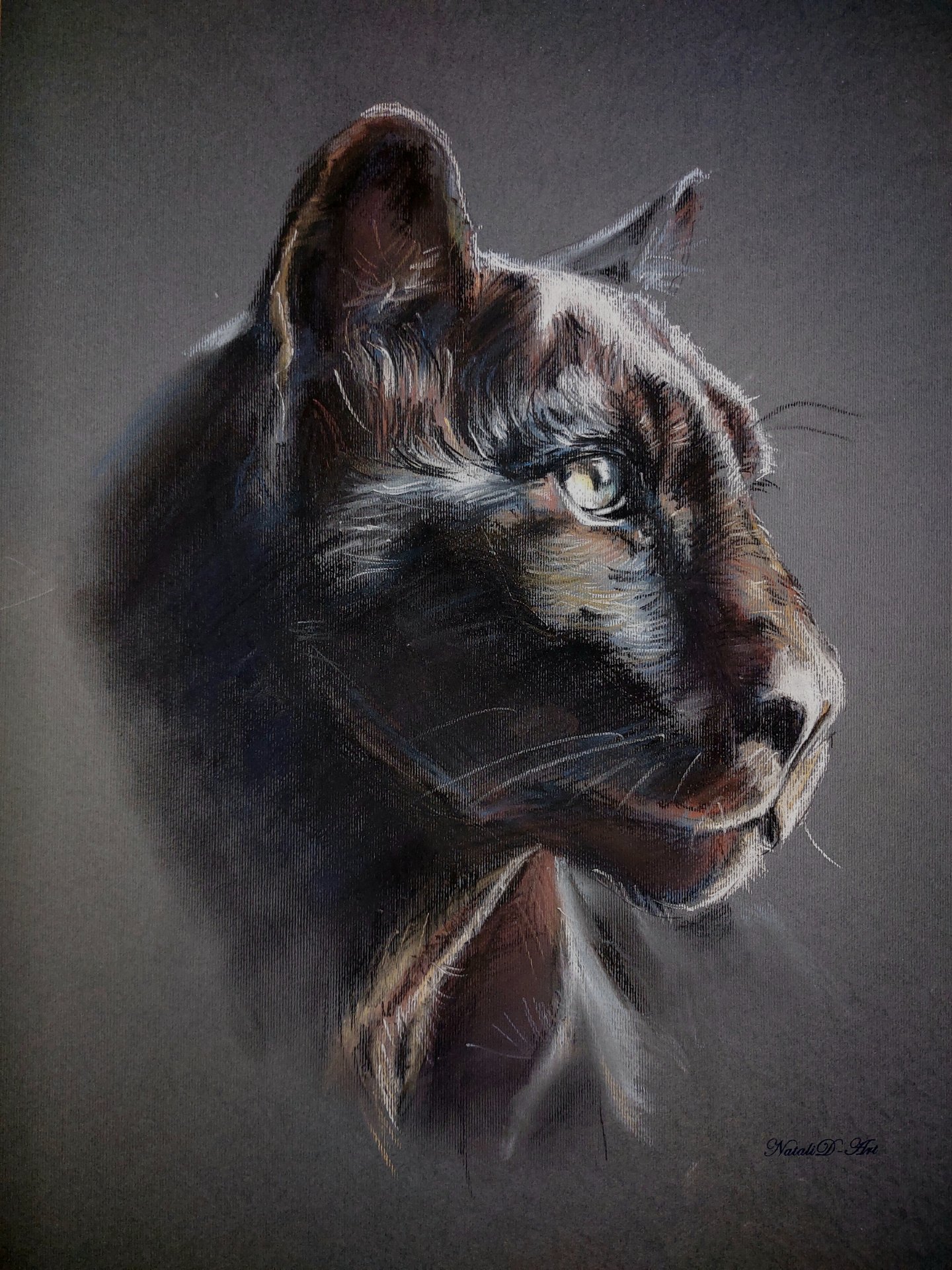 My Panther Crayons Drawing - Natali Diduh - Jose Art Gallery