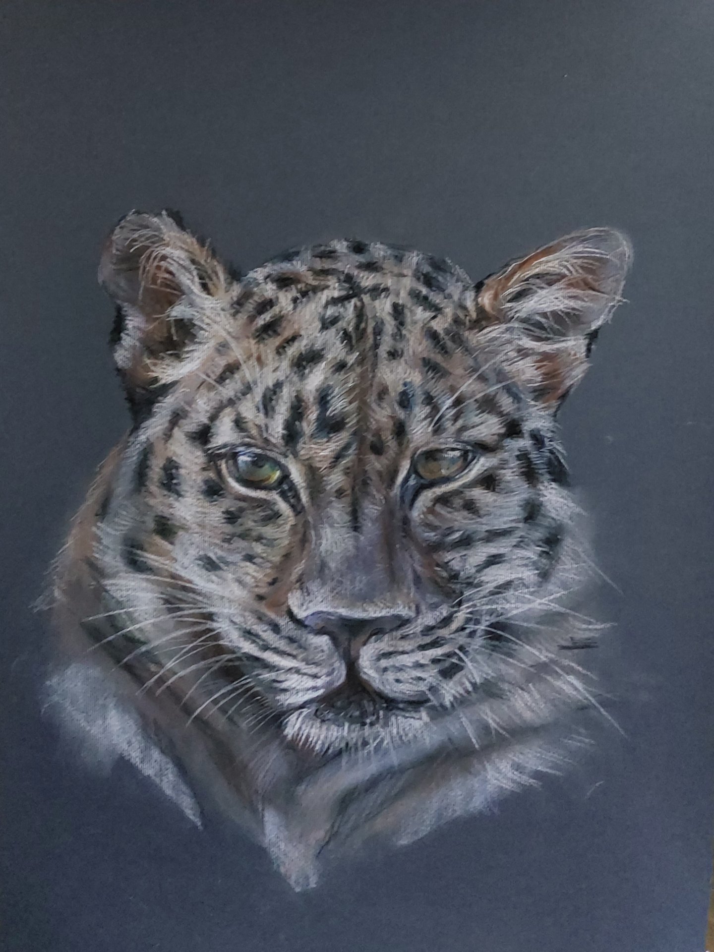 Spirit of Freedom Leopard Drawing - Natali Diduh