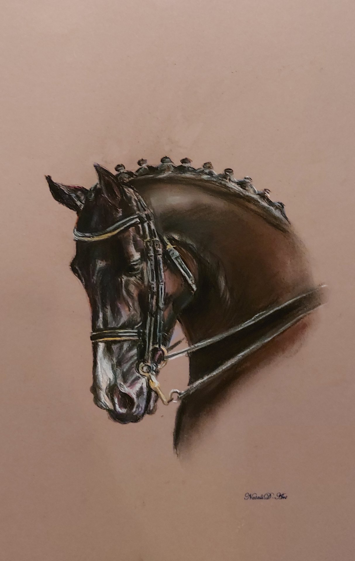 Grace of Horses: Art and Beauty Drawing - Natali Diduh