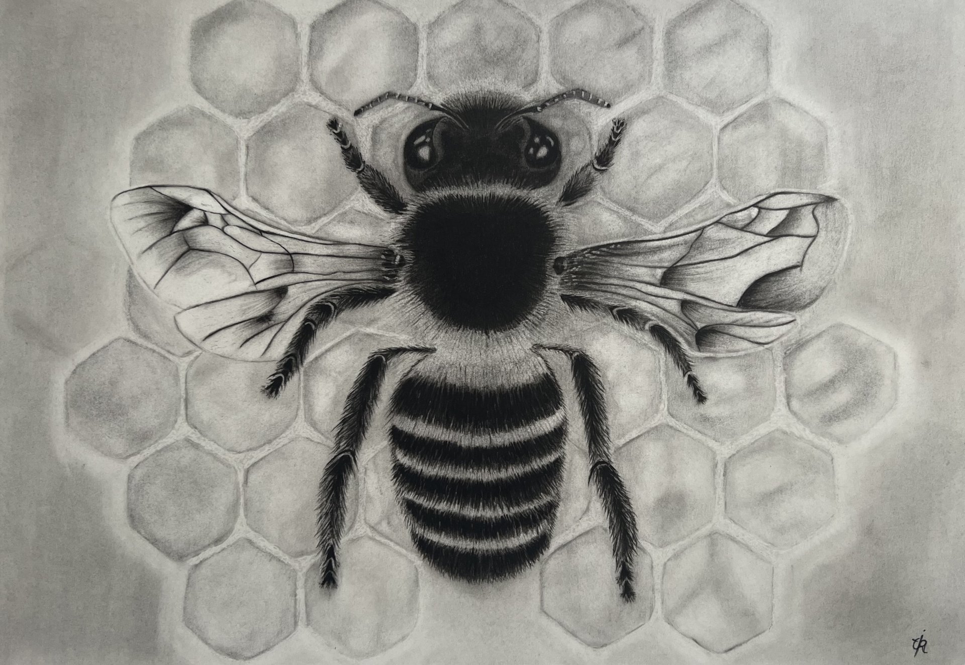 Bee life Drawing - Krisztina Varga - Jose Art Gallery