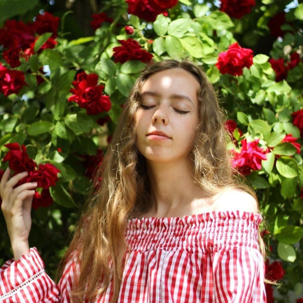 LiDi: Artist - Jose Art Gallery