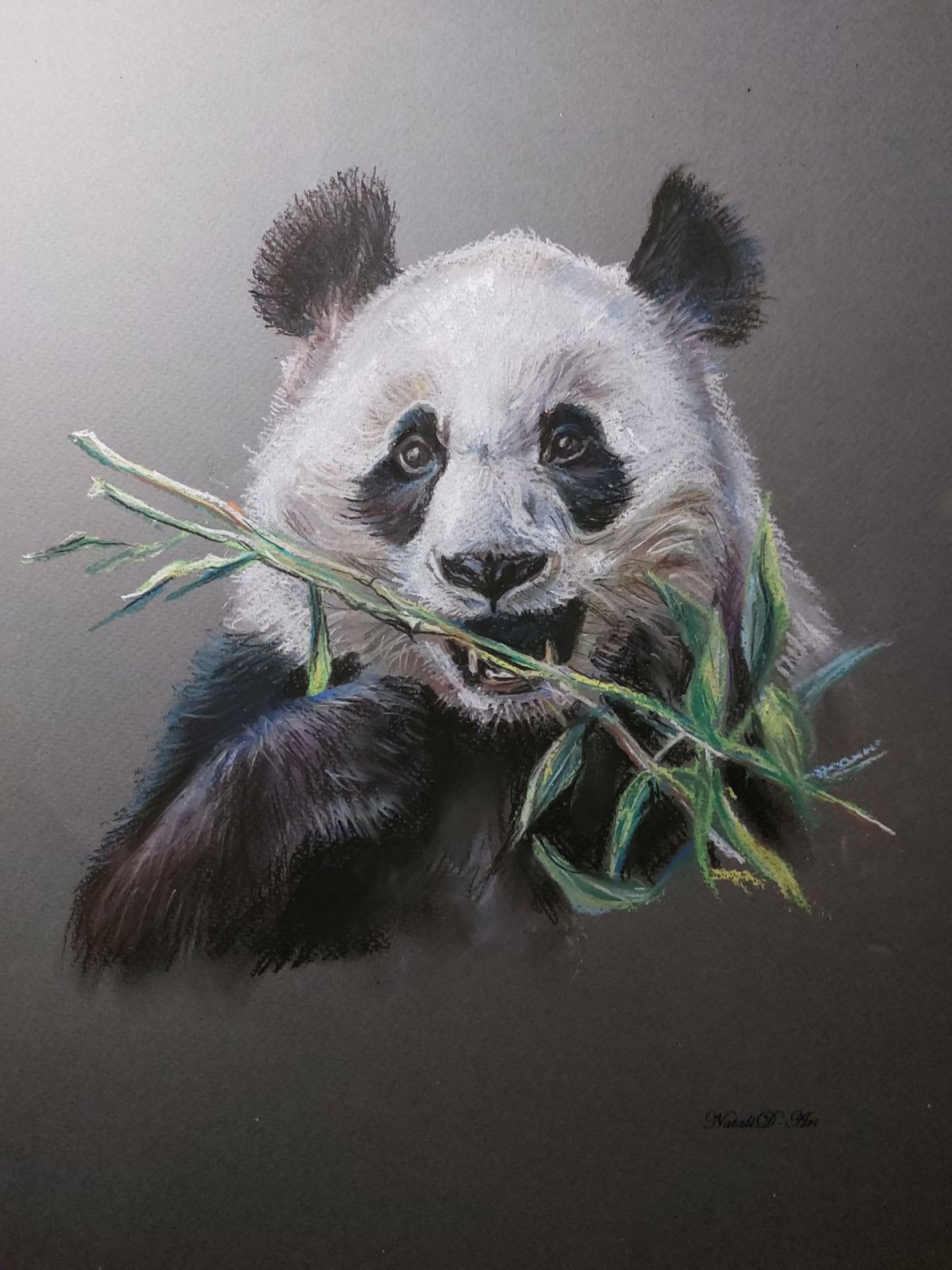 EcoMercy: Eyes of Nature Drawing - Natali Diduh