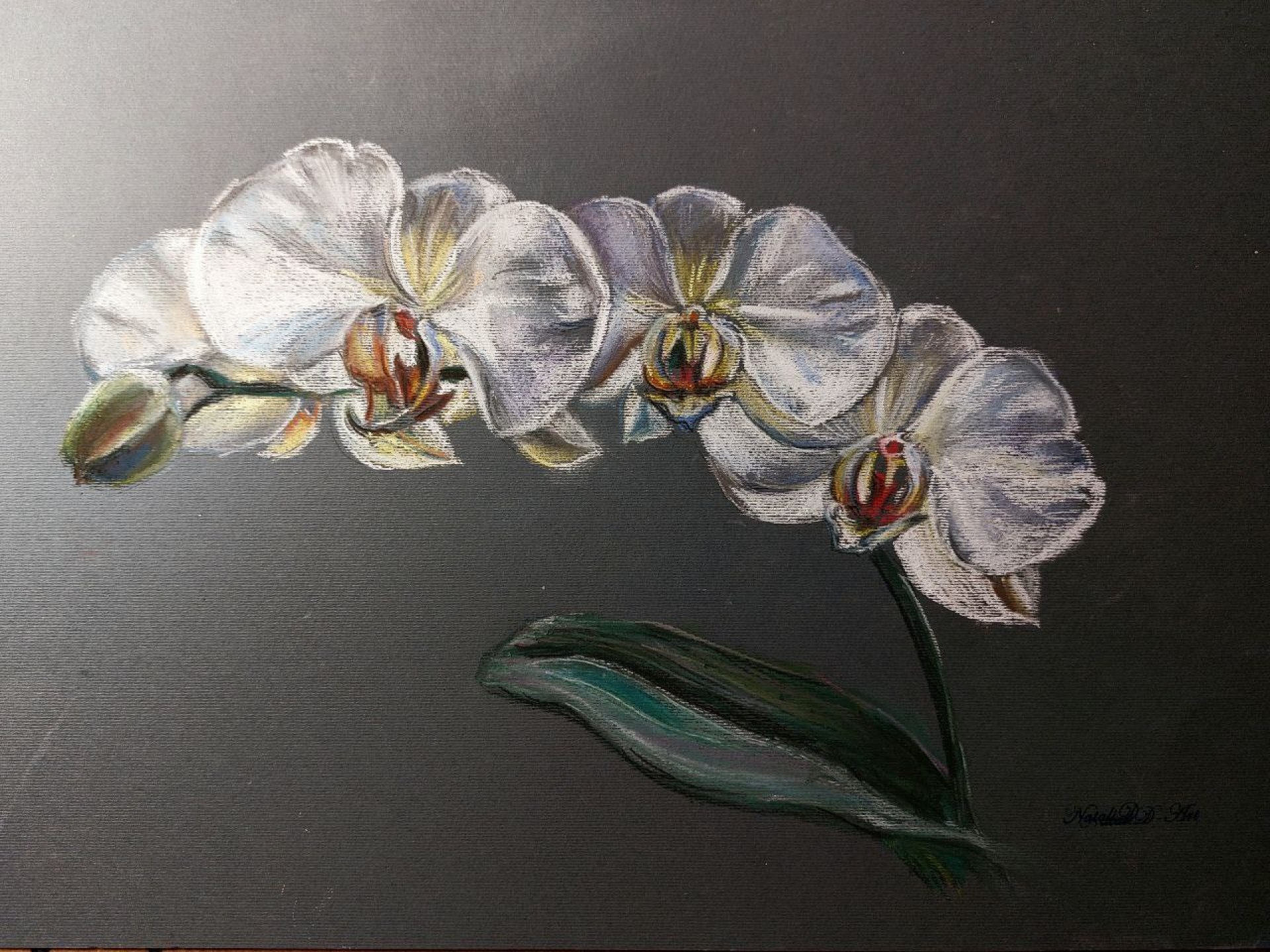Natalie's pastels: White Orchids Splendor Drawing - Natali Diduh