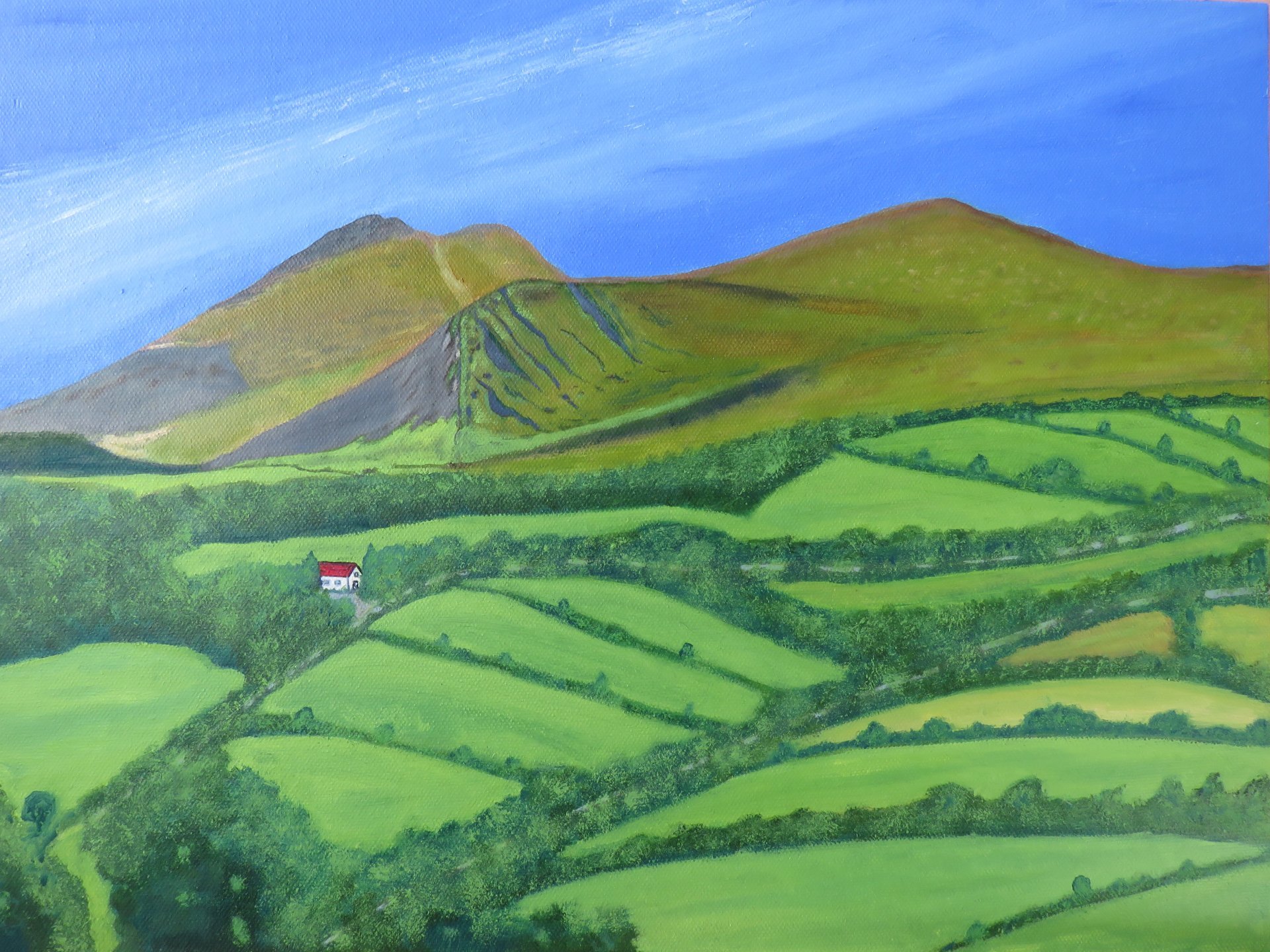 Mourne Mountains: A Spring Awakening Drawing - GEOFF WARKE