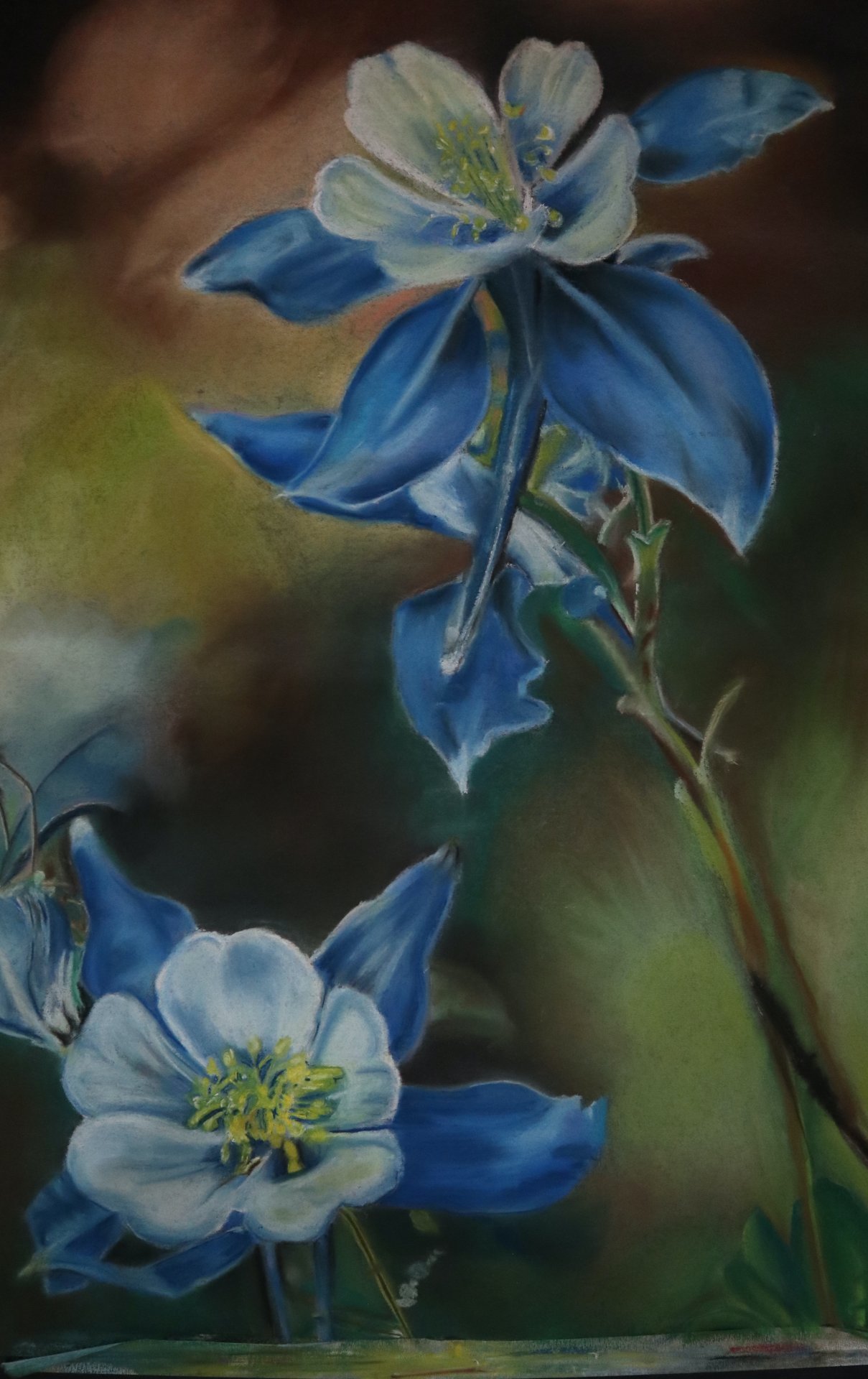 The Columbine Drawing - Ms T Artroom - Jose Art Gallery