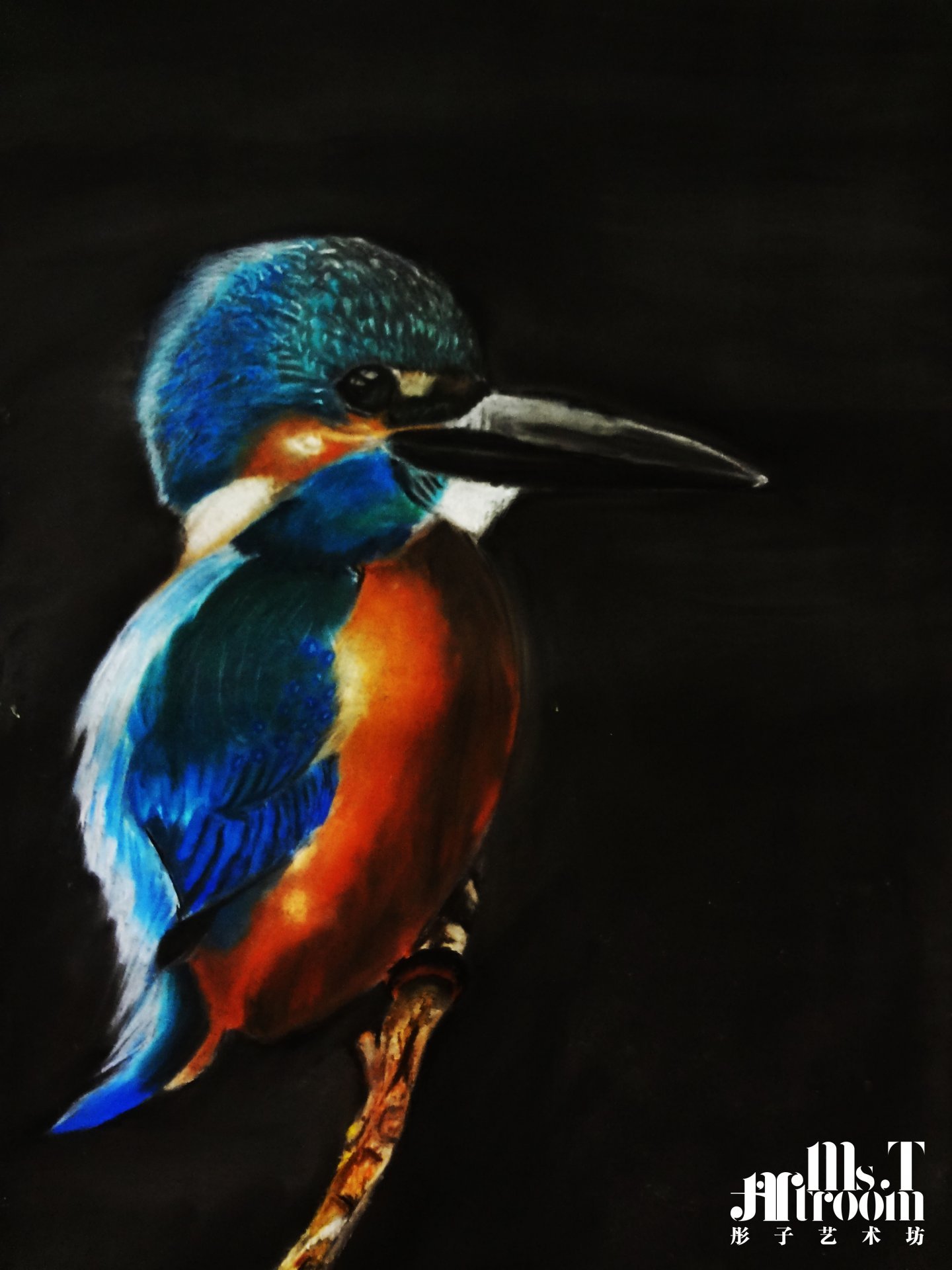 Kingfisher Drawing - Ms T Artroom - Jose Art Gallery
