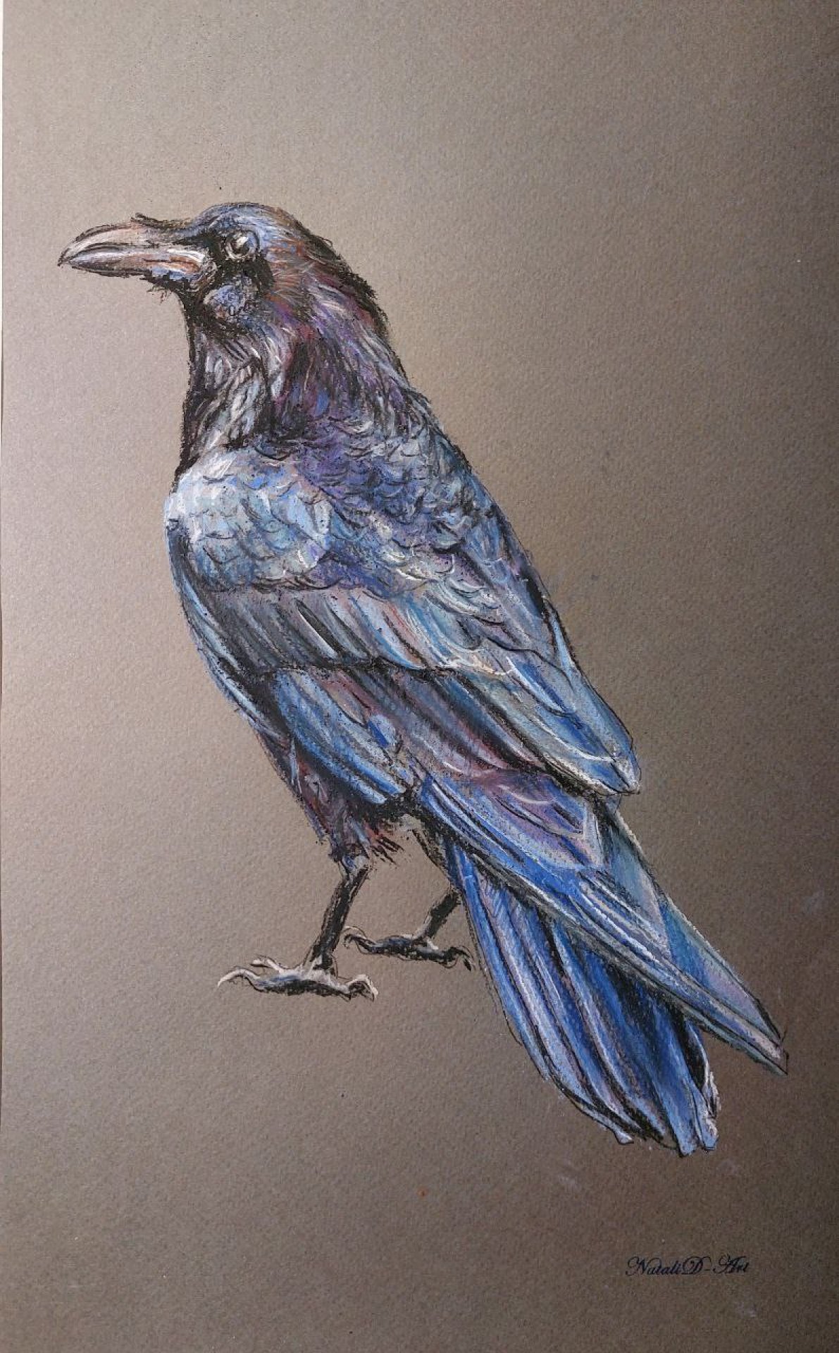 Raven: symbol of the wild Drawing - Natali Diduh