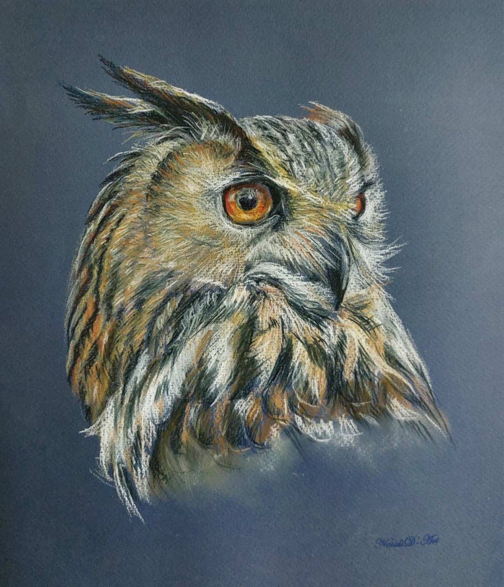 Gaze of Wisdom: Owl Power Drawing - Natali Diduh