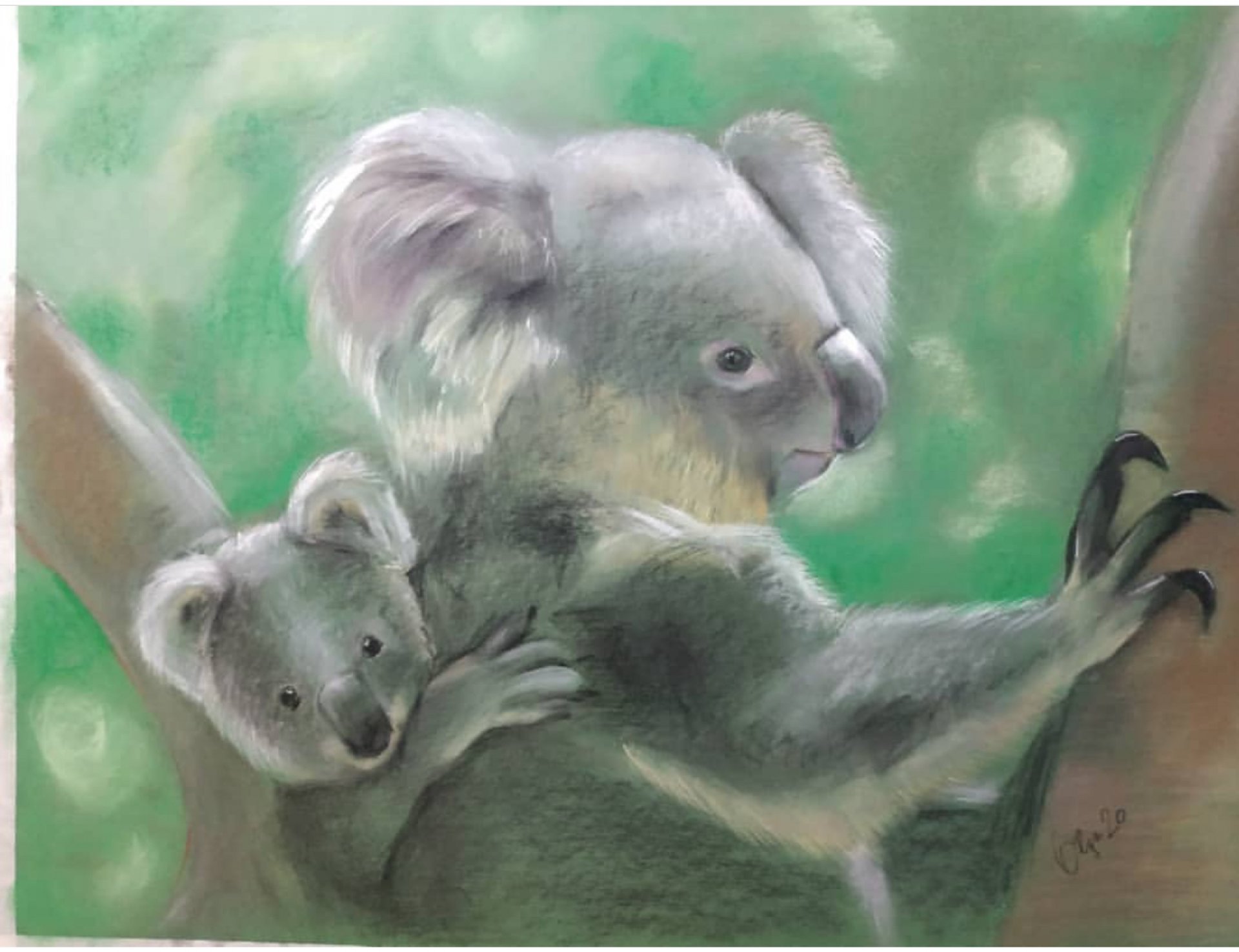 Koala Painting by Olga Chuchalova - Jose Art Gallery