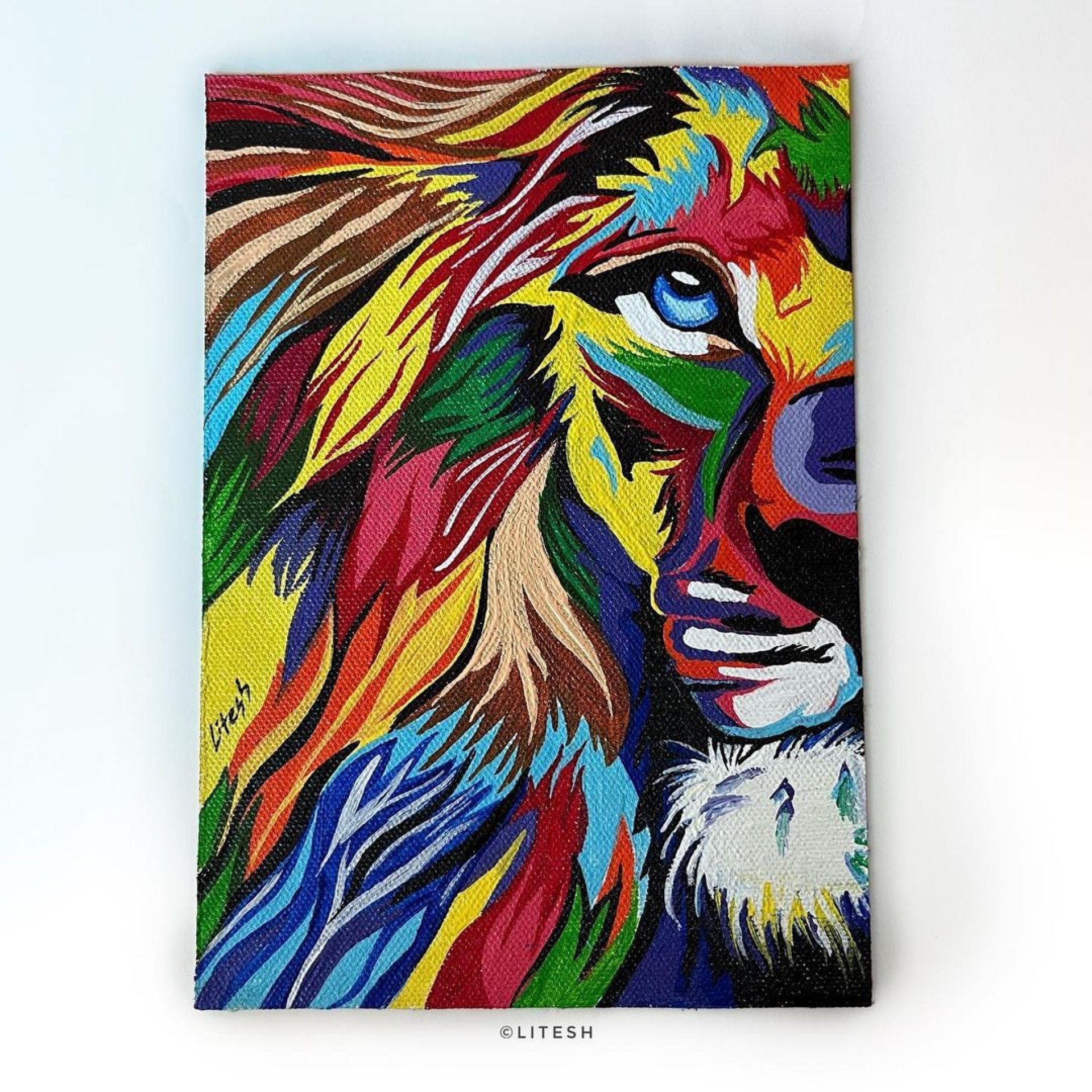 Colorful Lion: A Splash of Design Painting by Litesh