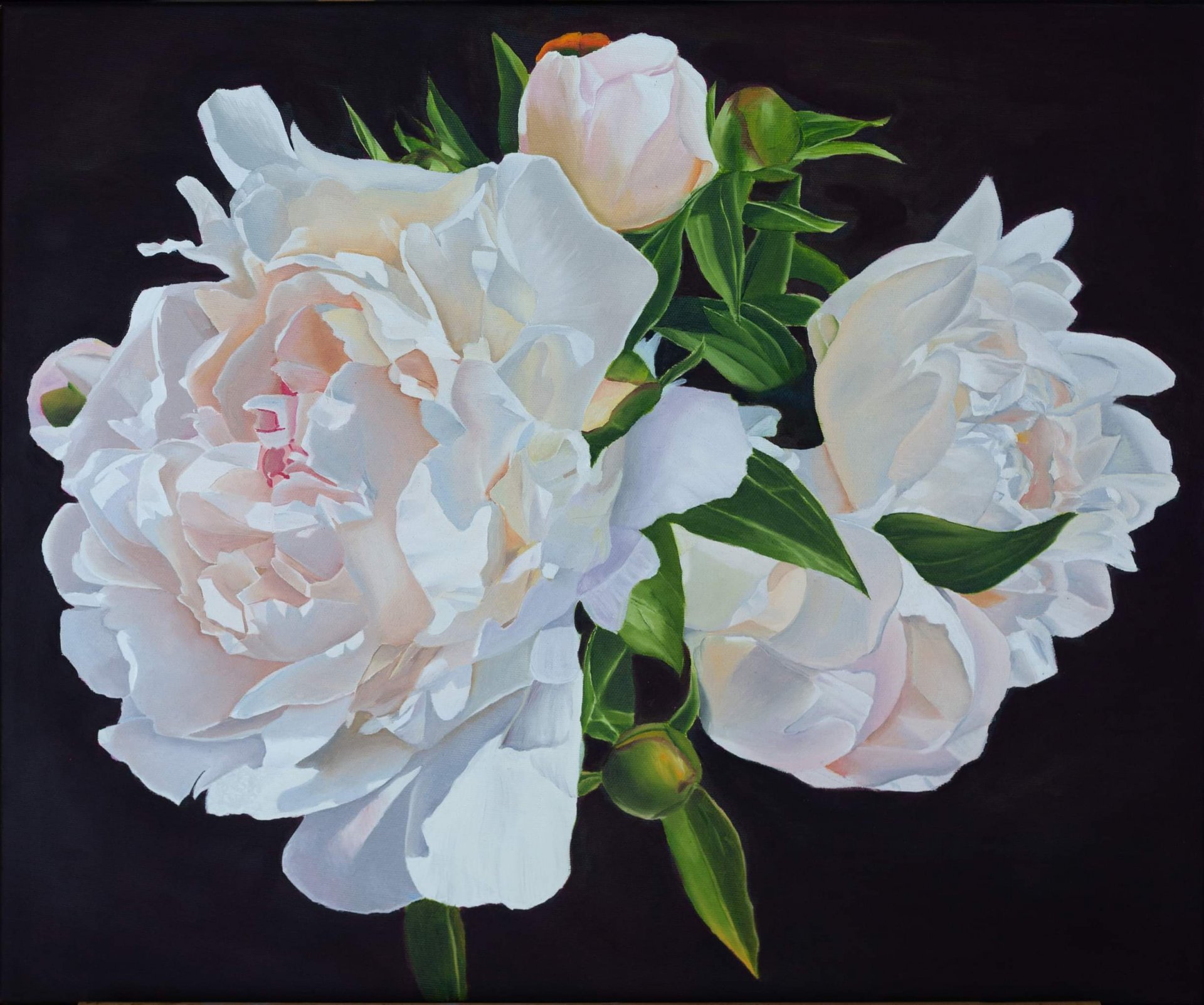 Morning Sun: Elegance in White Peonies Painting by Nelia Hryhorenko