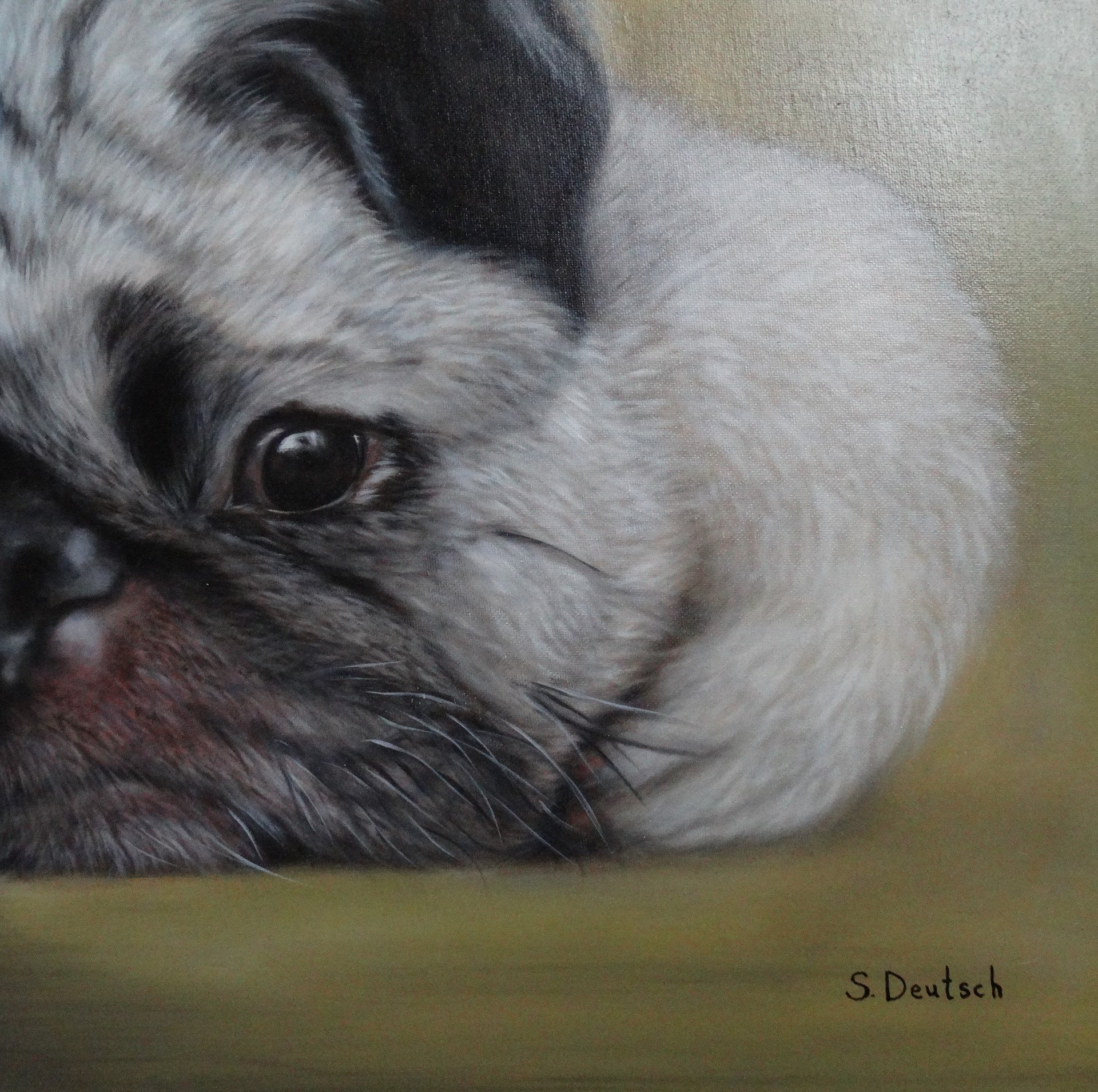 Pug-dog Painting by Svitlana Deutsch - Jose Art Gallery