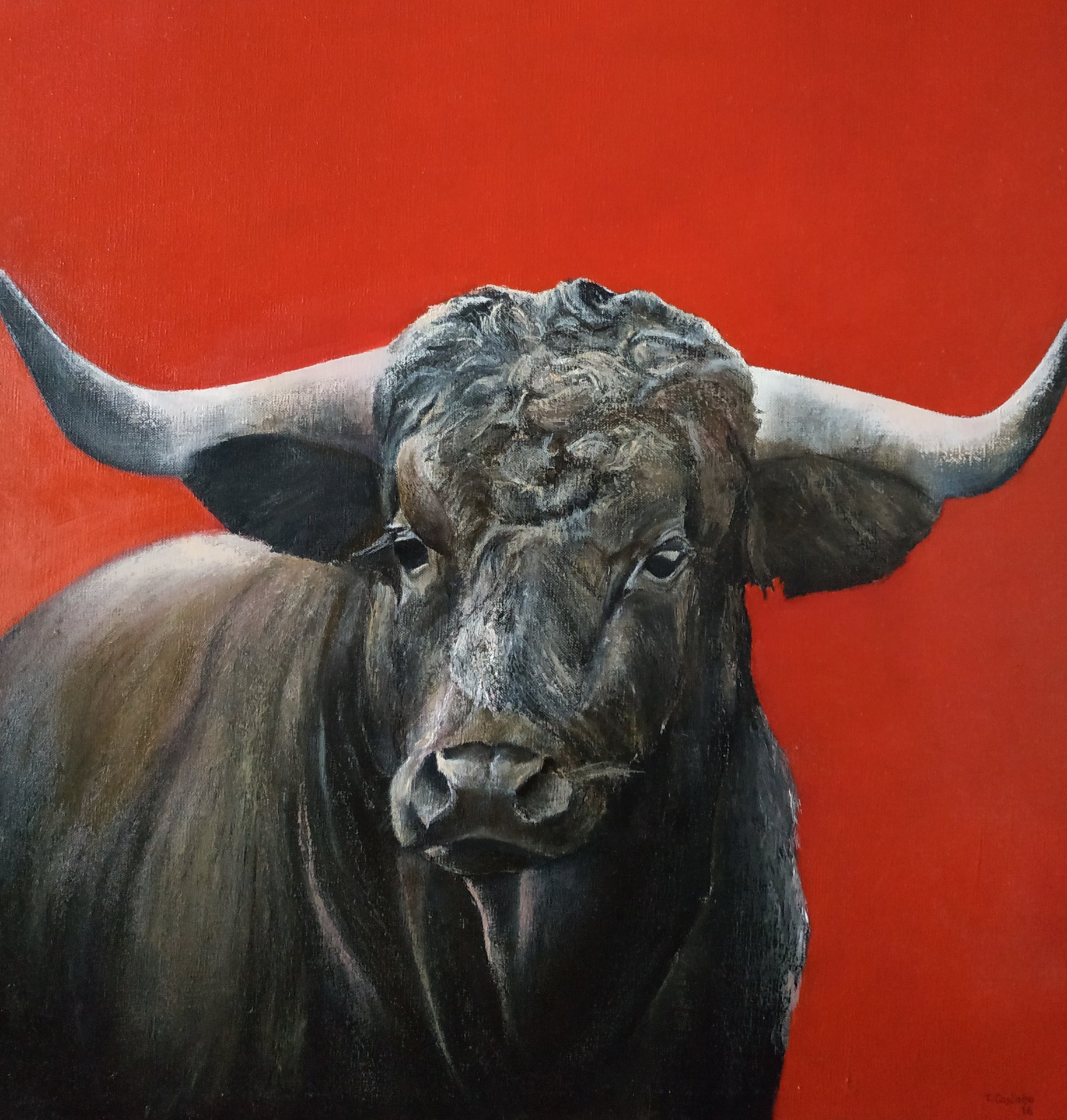 Brave bull on red Painting by TOMAS CASTANO