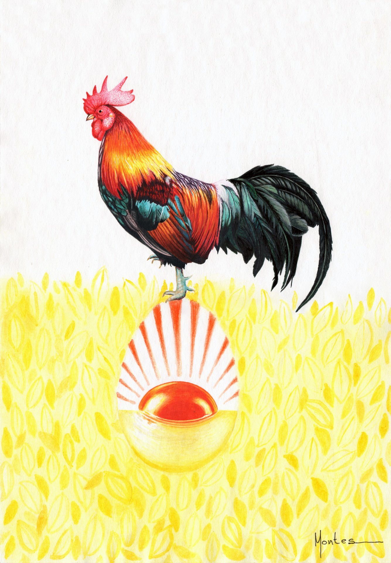 Gallo Painting by José Luis Montes - Jose Art Gallery