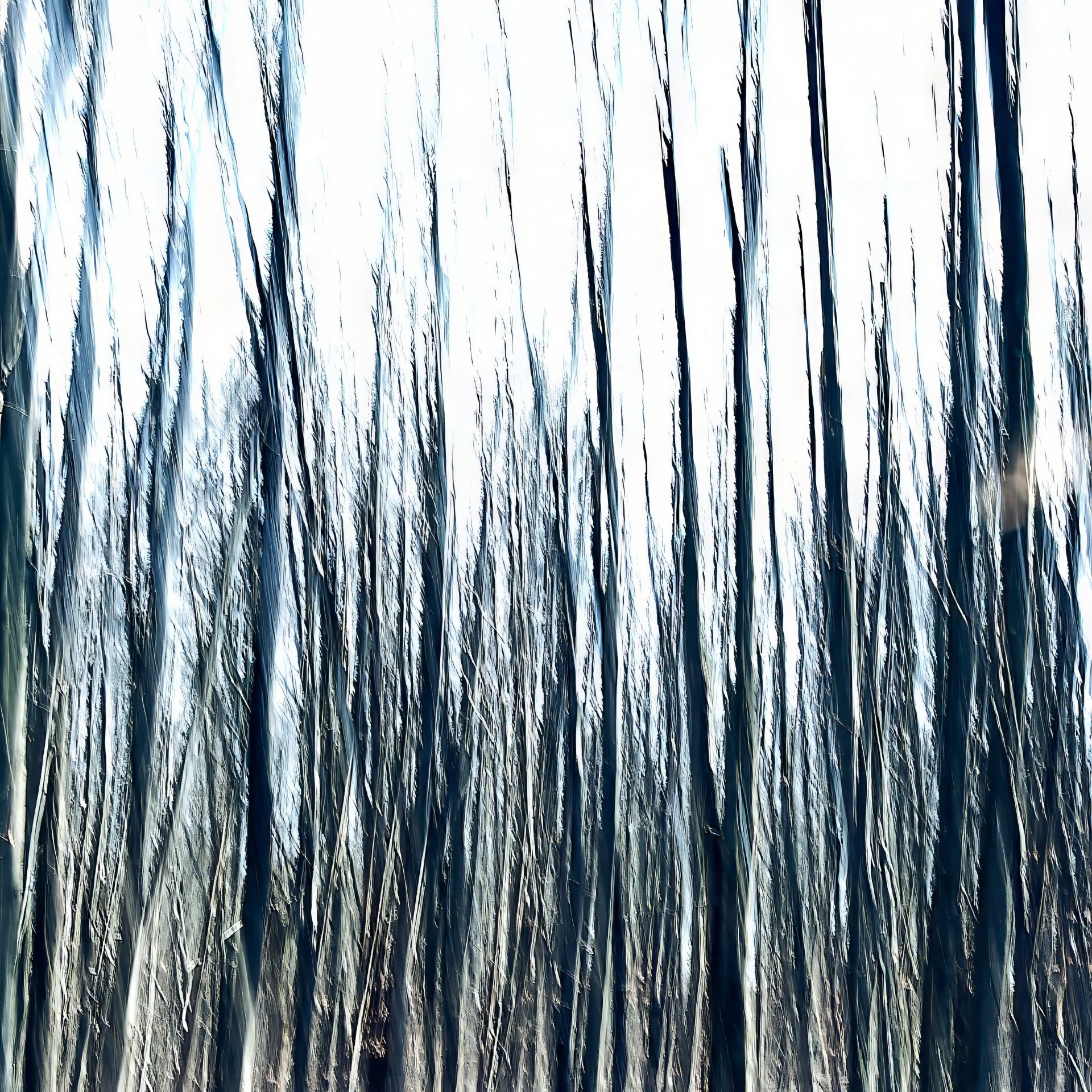 Sliding Dreams Photography - Oleksandr Shapovalov