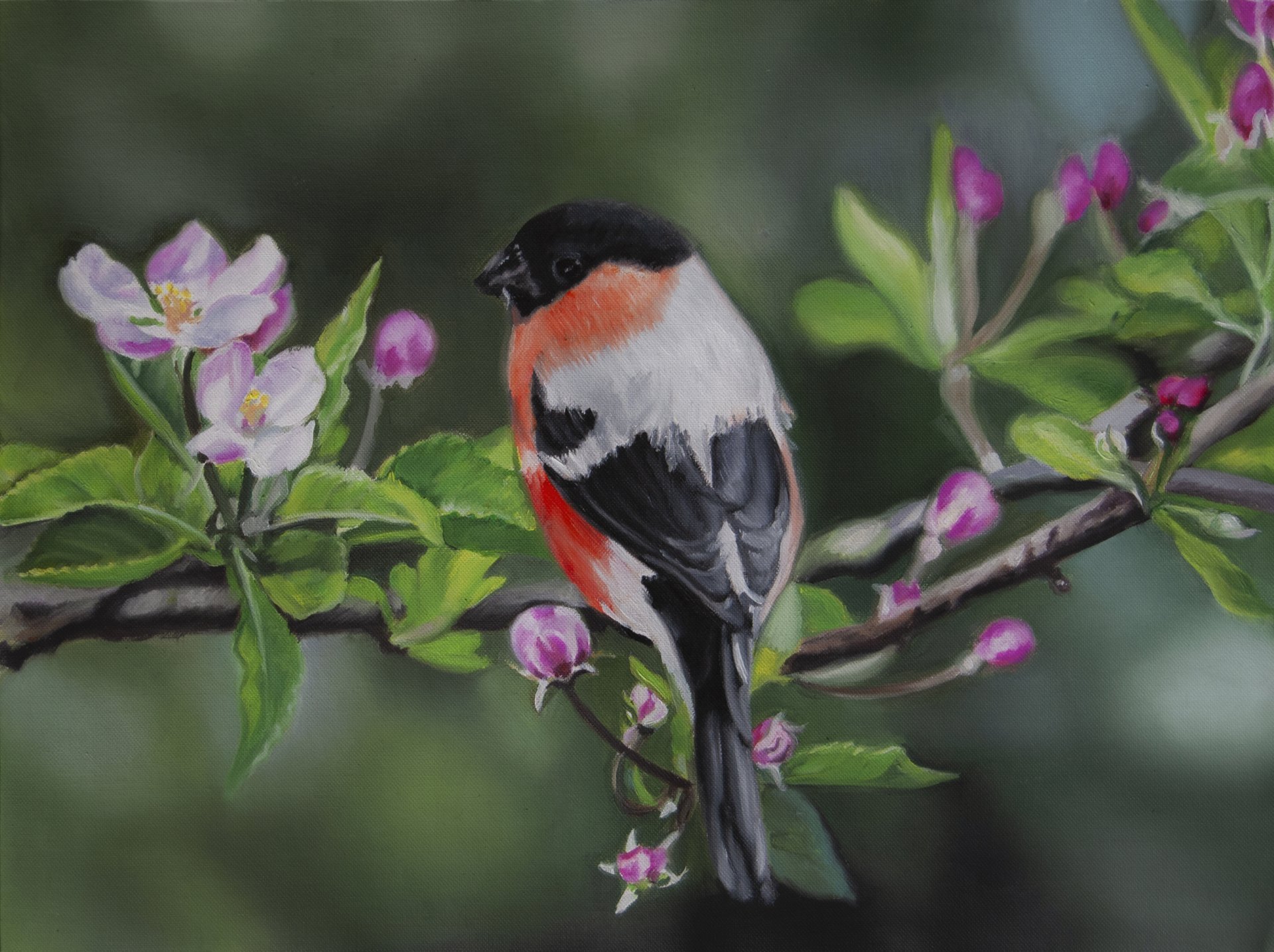 Realistic Bird Painting Nature Painting by Simona Tsvetkova