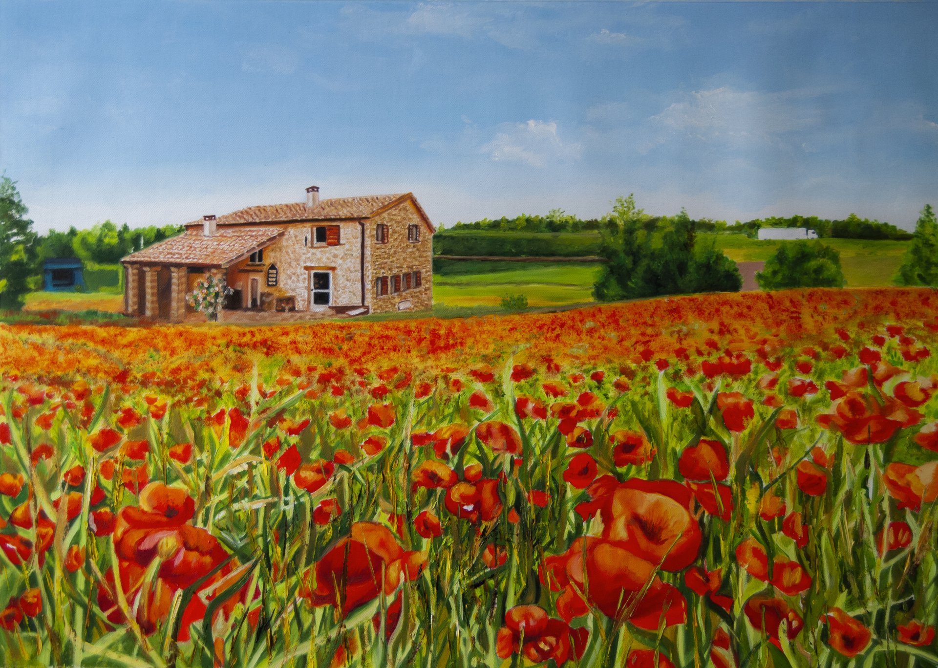 Countryside House in Poppy Fields Painting by Simona Tsvetkova