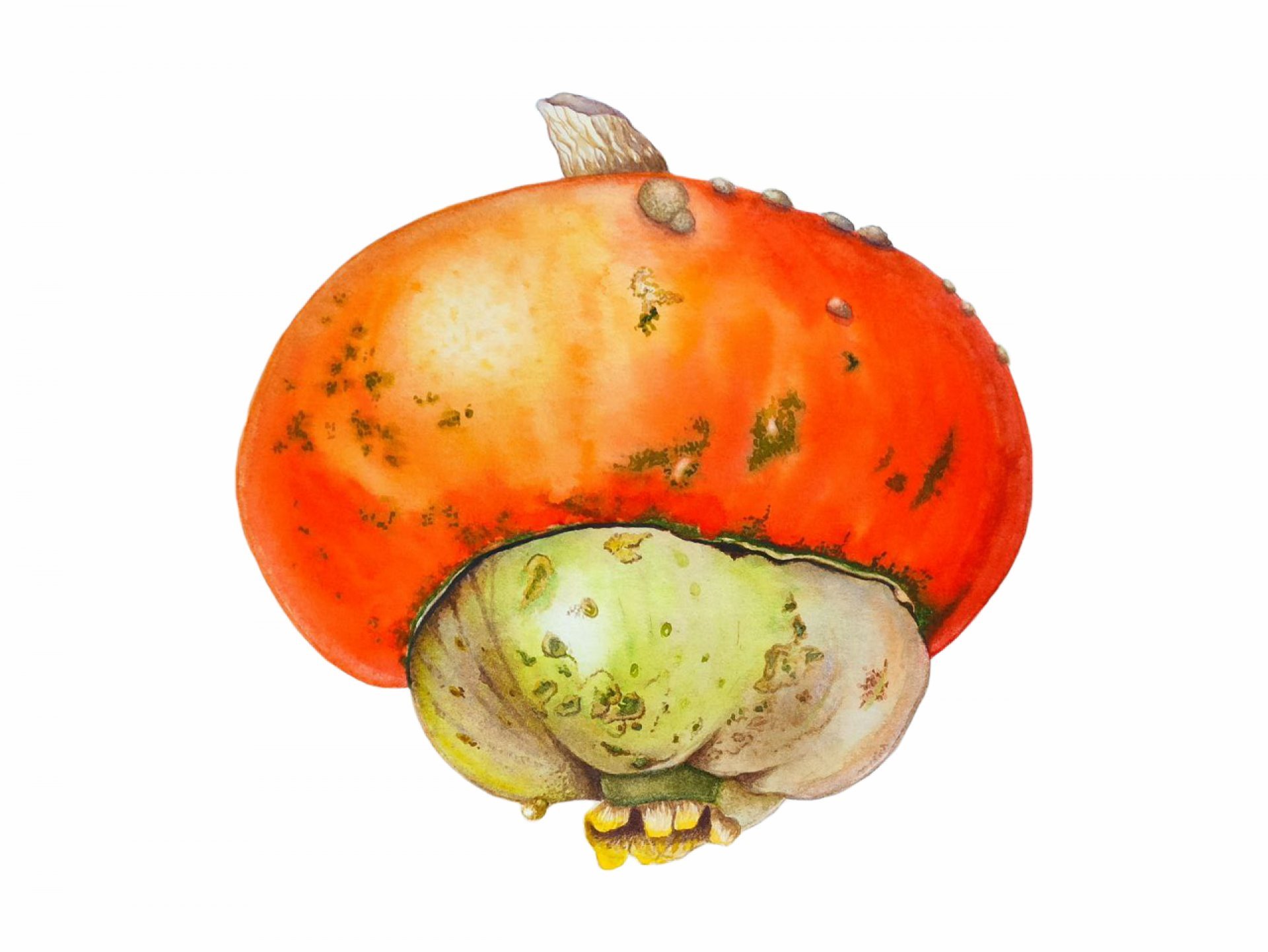 Decorative beauty Painting by Natalya Buhaienko