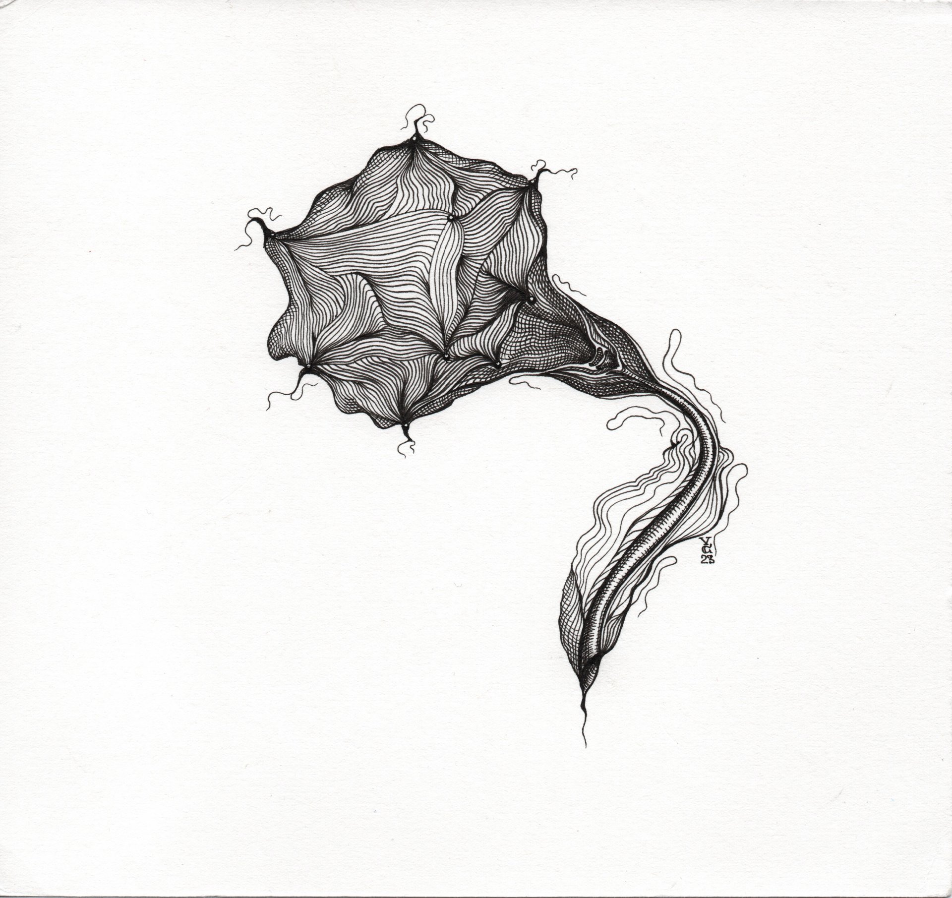 The Path of Options Drawing - Vitas Chernyauskas