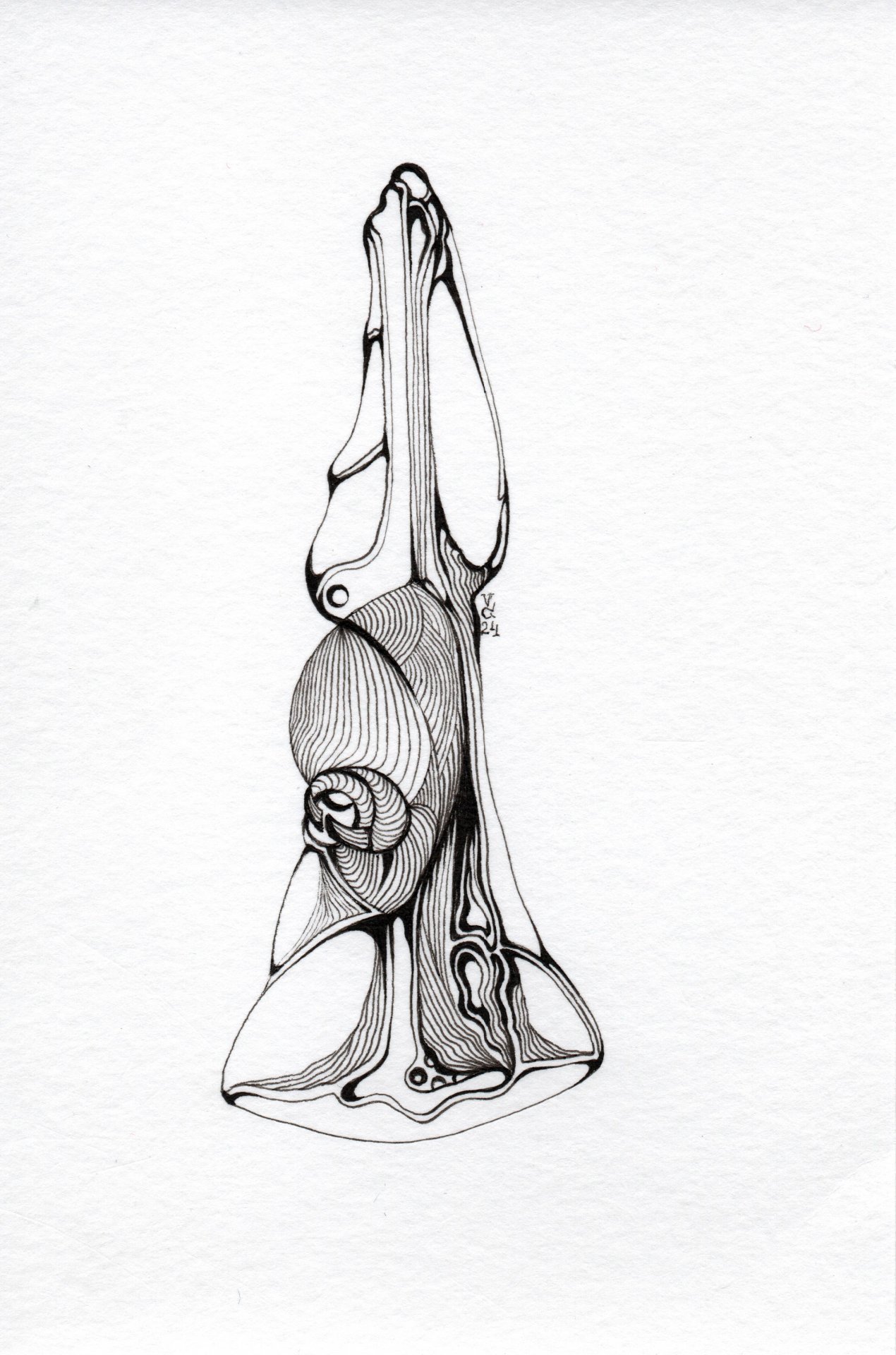 Space of Variations. Dreams Drawing - Vitas Chernyauskas