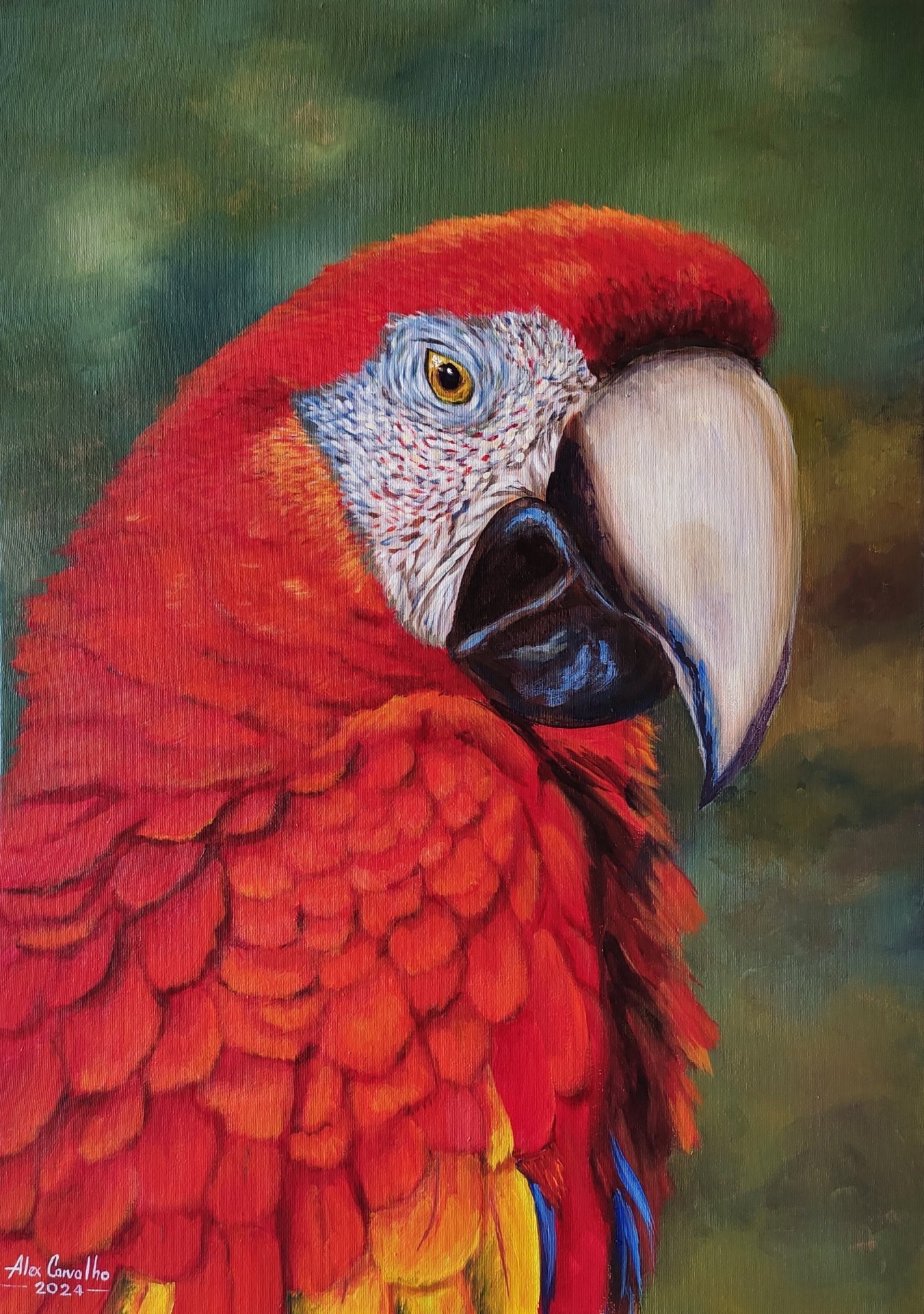 Pintura De Guacamaya Roja Guacamaya Roja PNG Descarga Imágenes