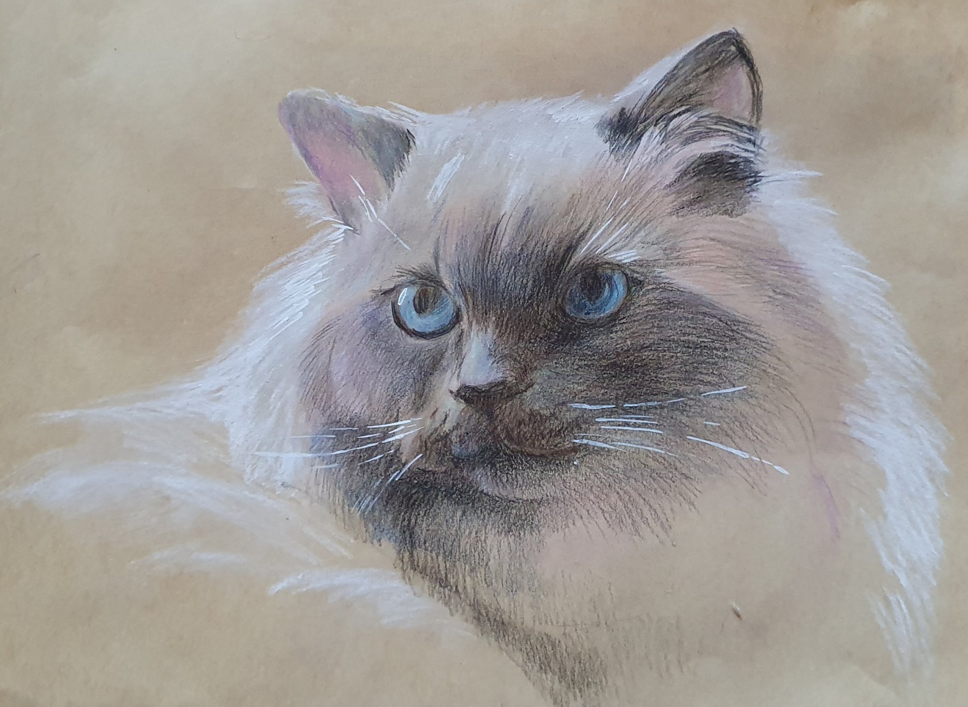 Portrait of a kitten Digital Art - Oksana Potomkina