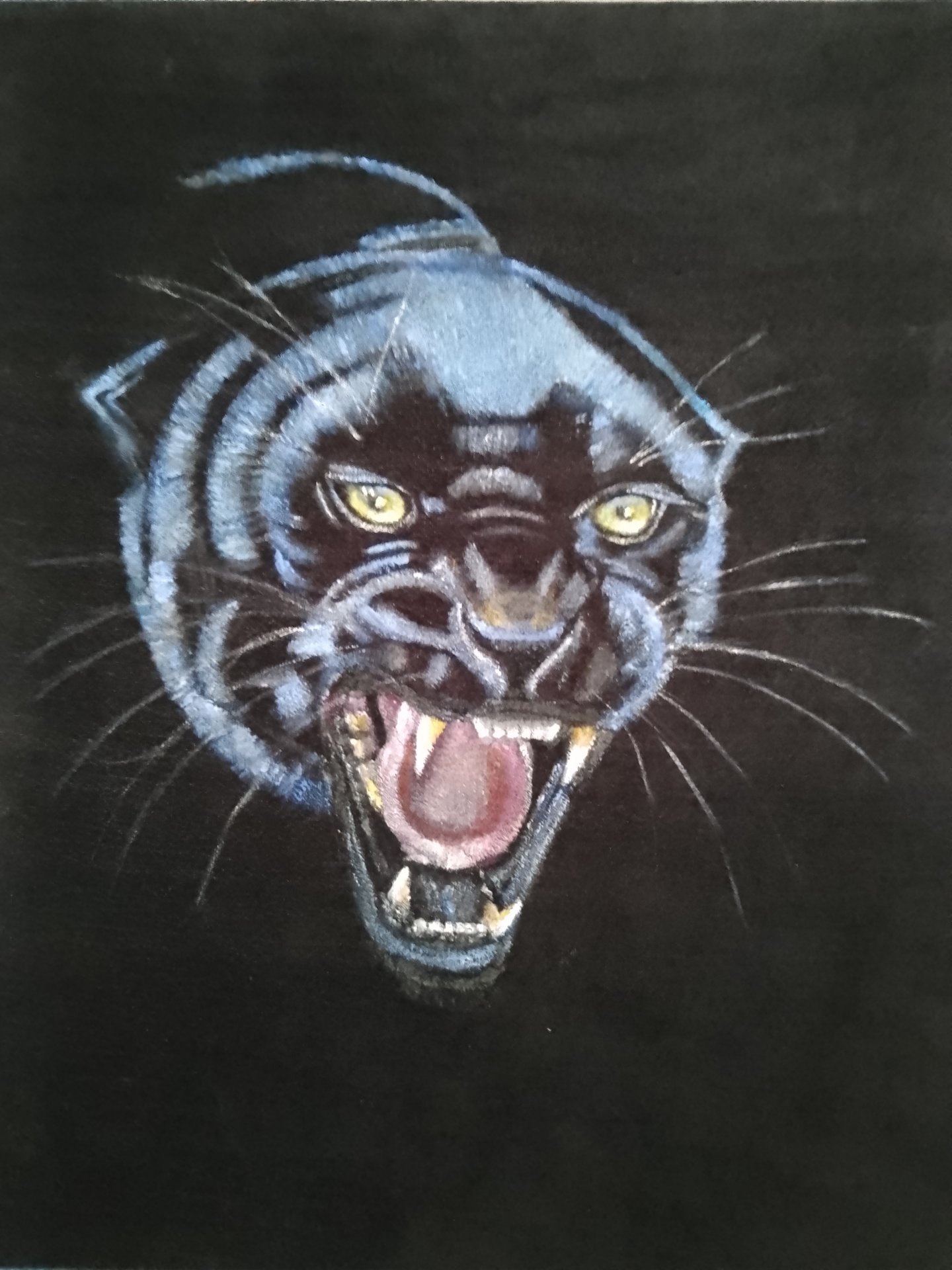 Midnight's Gaze Drawing - Svetlana Kofanova