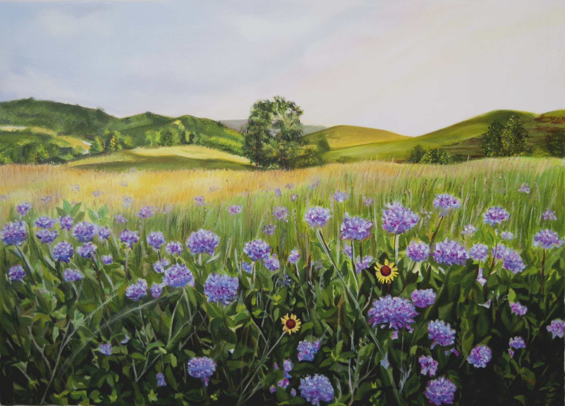 Landscape: Fields of Light Painting by Simona Tsvetkova