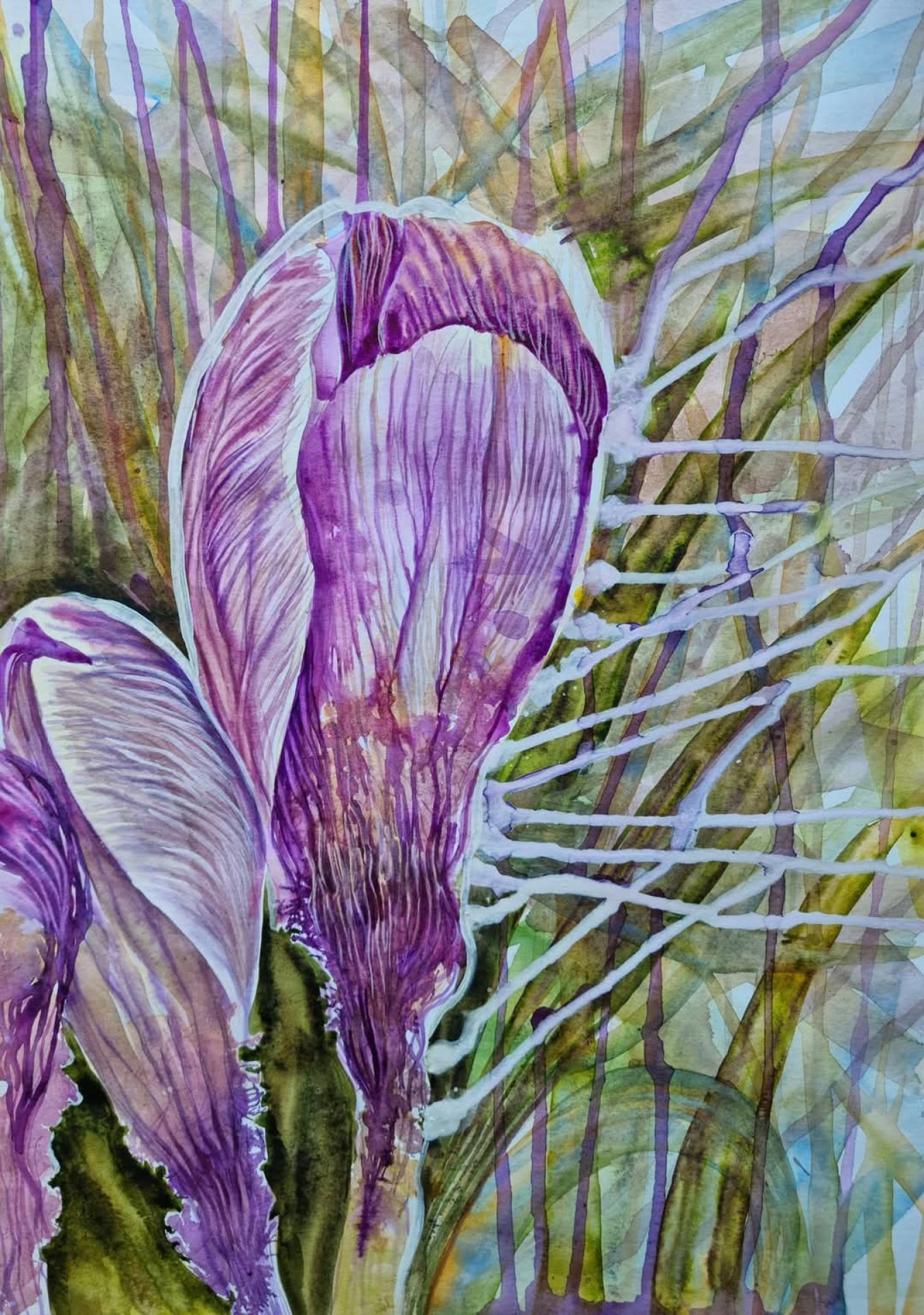 Watercolor Crocuses Painting by Marina Bura