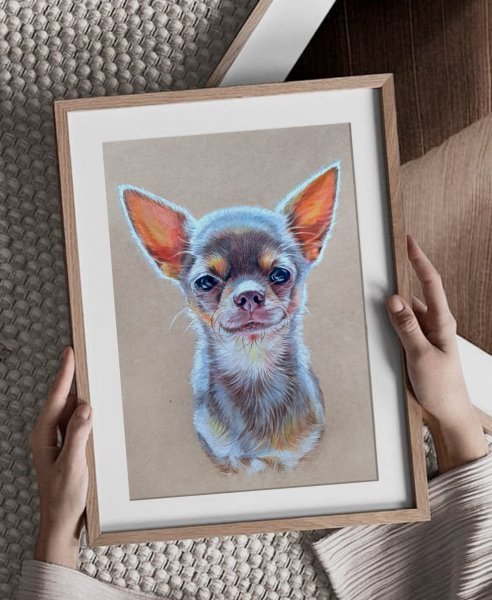 Custom Chihuahua Portrait Gift Drawing - Julia Shilo