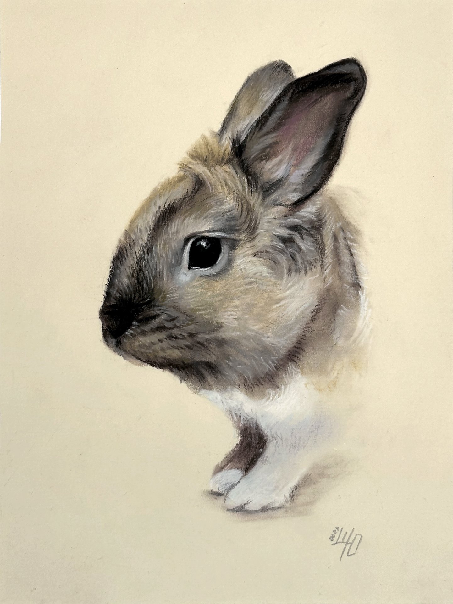 Portrait of a cute rabbit Drawing - Julia Shilo