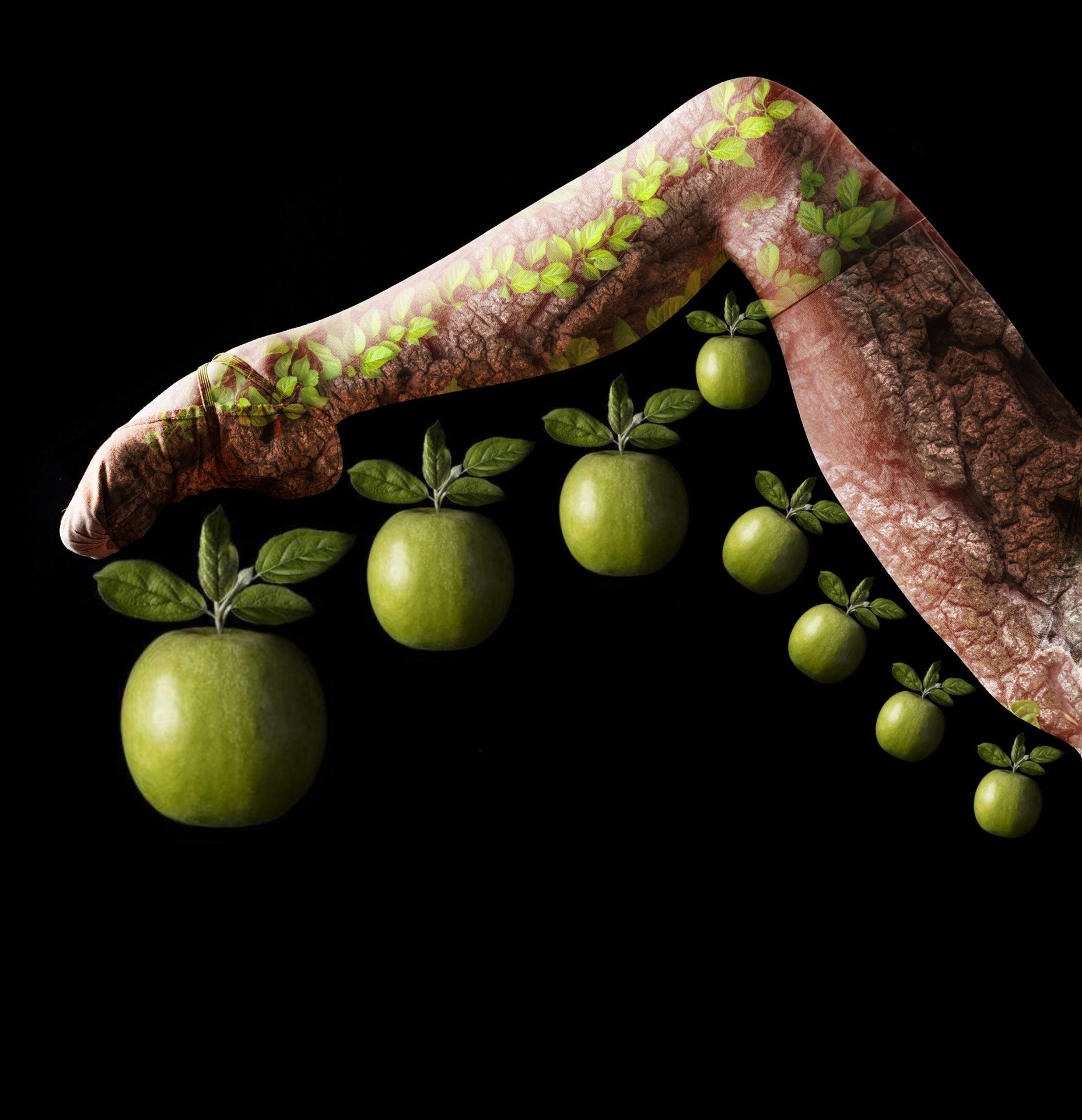 Dancing Apples Photography - MARCELO DECOUD