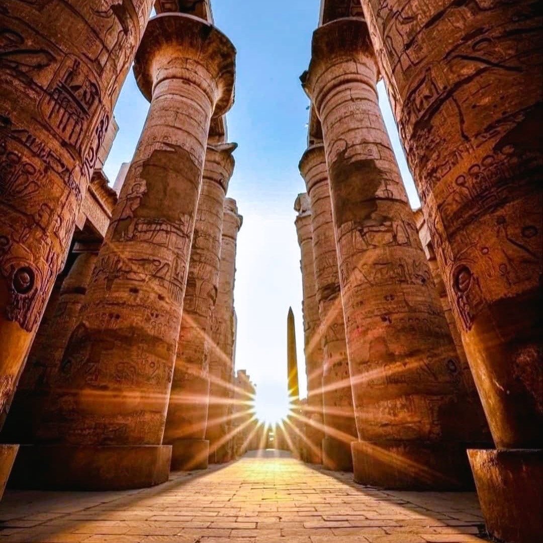 Mohamed Rehab: Artist - Jose Art Gallery