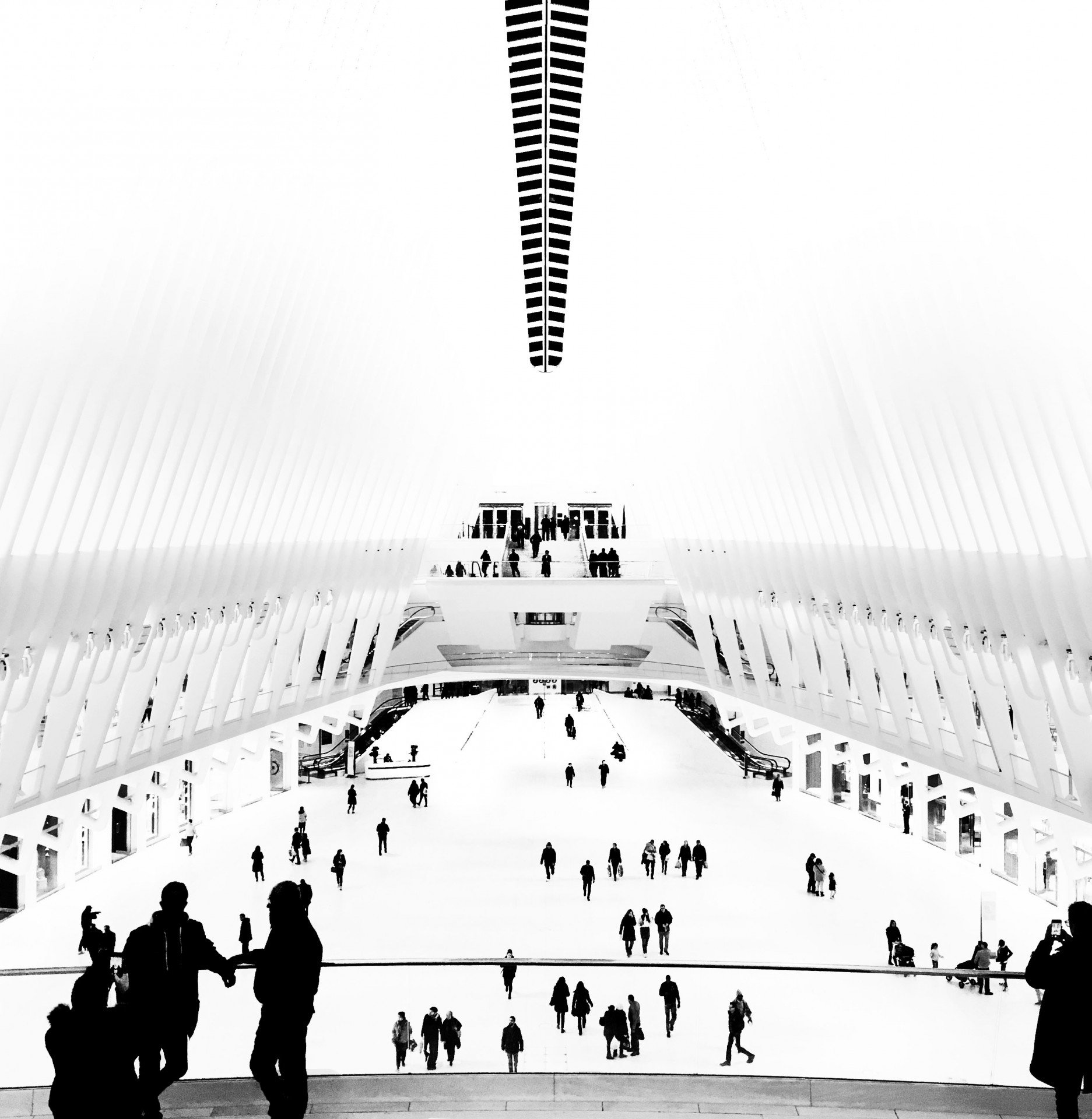 Oculus Photography - Lara Ineschi - Jose Art Gallery