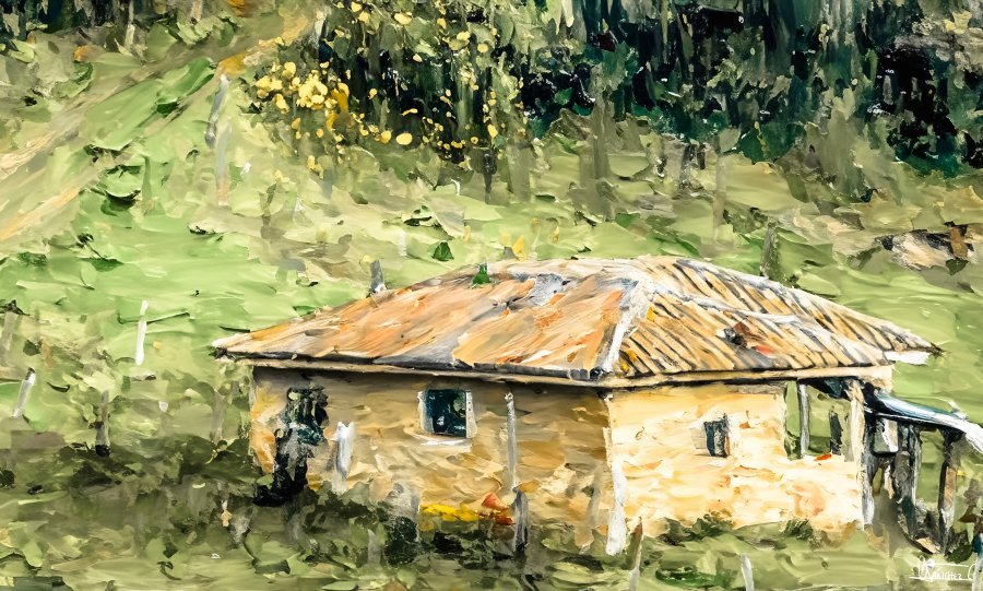 The essence of the Colombian countryside Photography - Orlando Sanchez