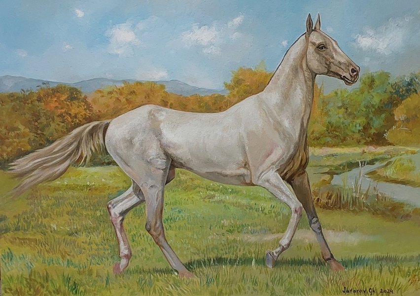 Akhal-Teke horse Painting by Chary Jafarov
