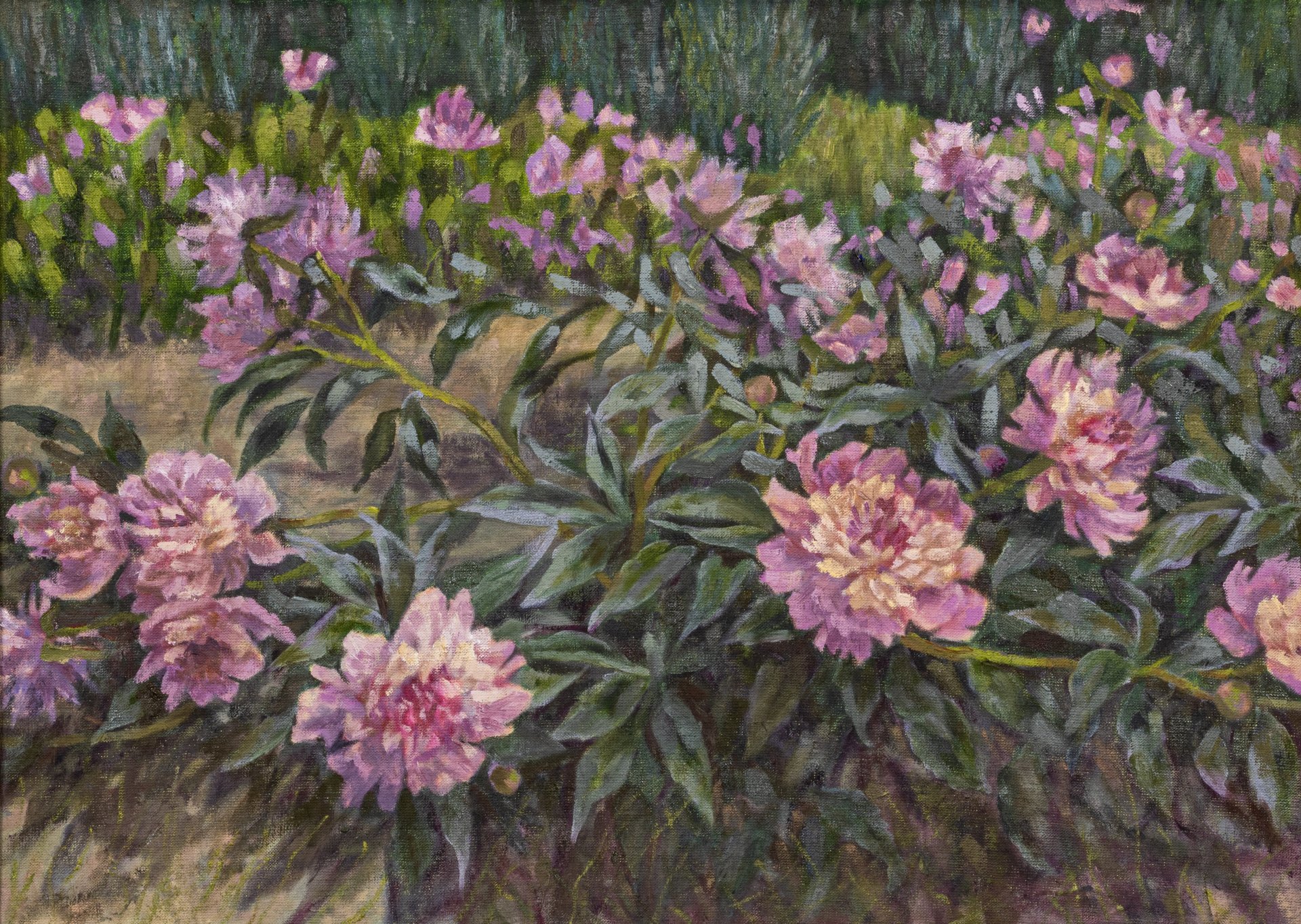 Peonies Painting by Elena Moiseenko (belarus)