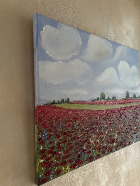 Poppy fields Painting by Tatiana Lashchenkova