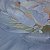 Sunbeam Painting by Nelia Hryhorenko - Jose Art Gallery